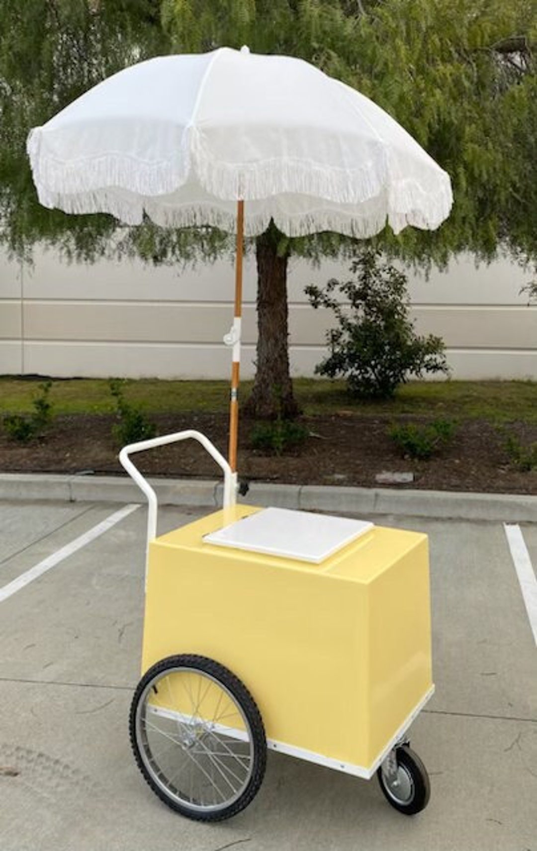 PALETA YELLOW CART Paleta Mobile Cart Push Cart Street Vendor Paleta ...