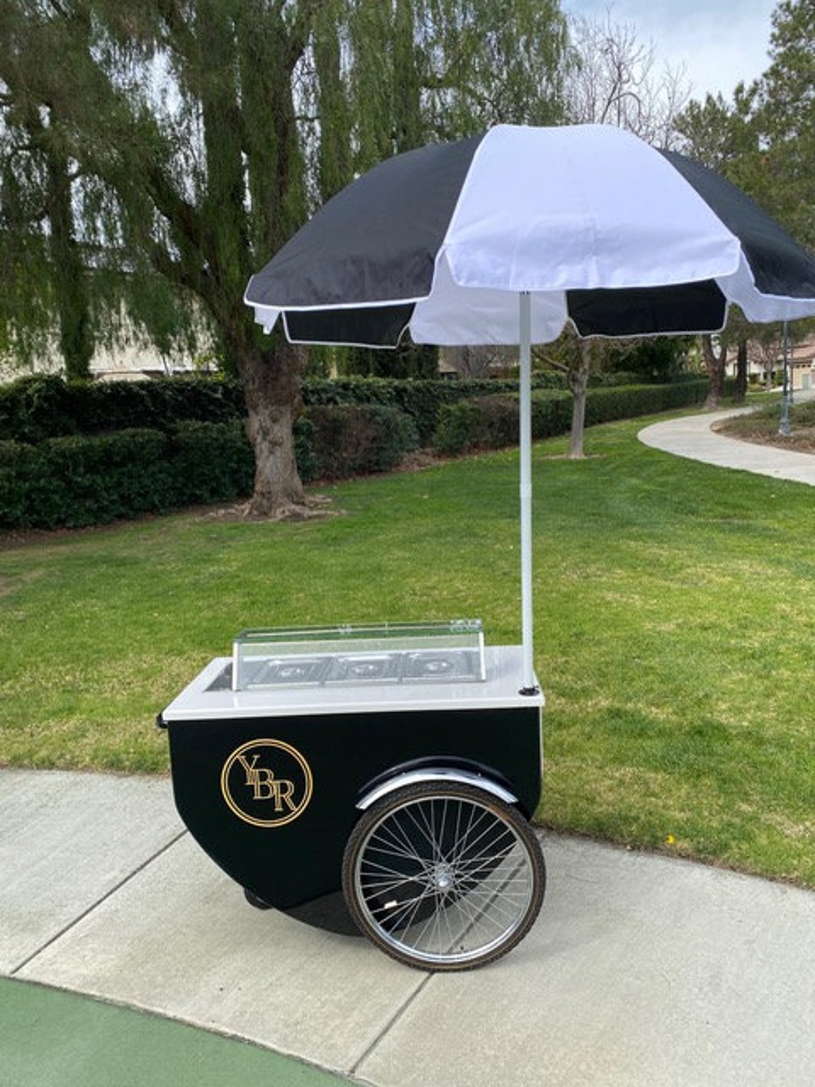 FOOD STEAMER CART Push Cart Comfort Foods Cart Electric Steam Cart Hot ...