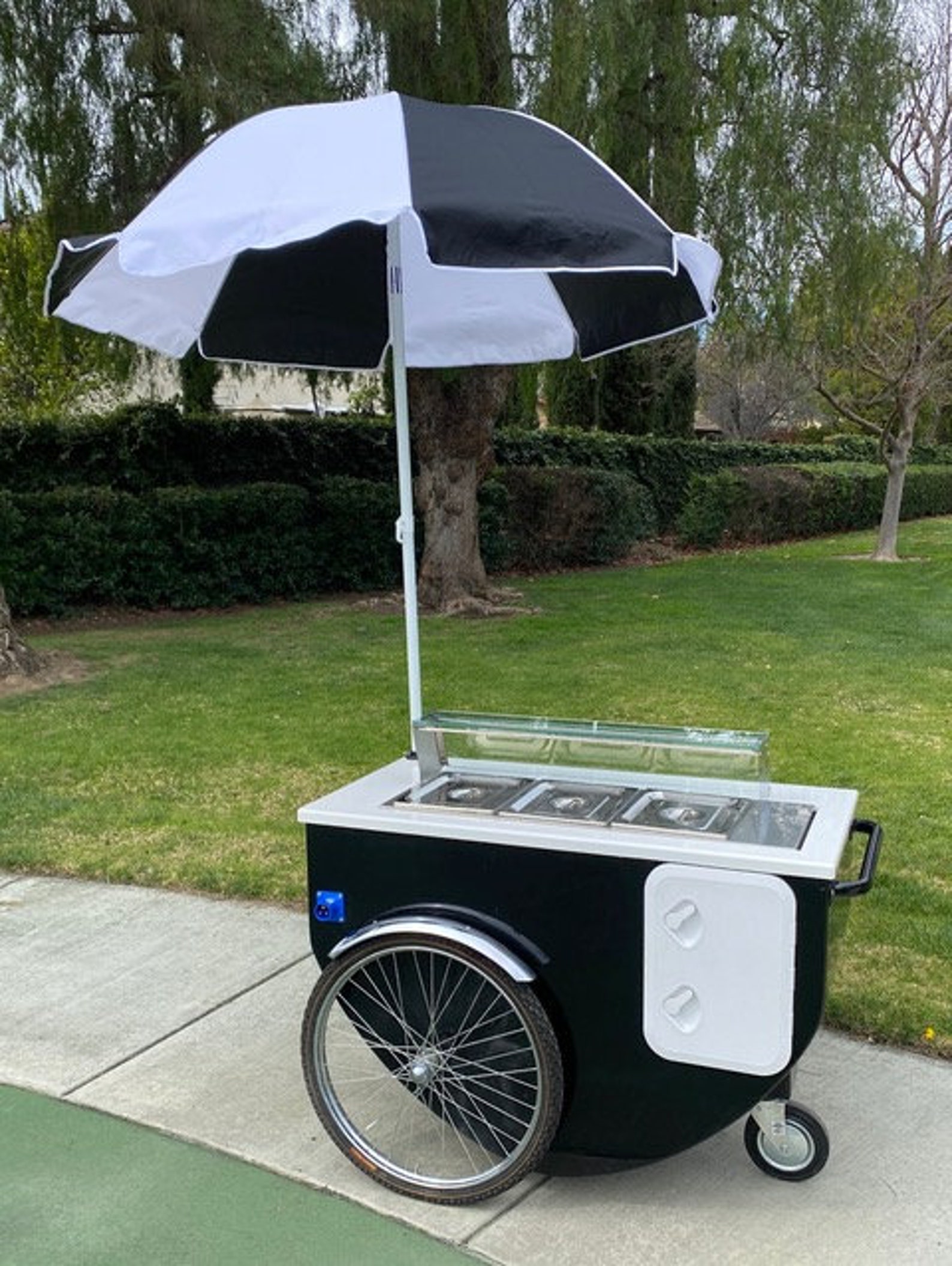 FOOD STEAMER CART Push Cart Comfort Foods Cart Electric Steam Cart Hot ...