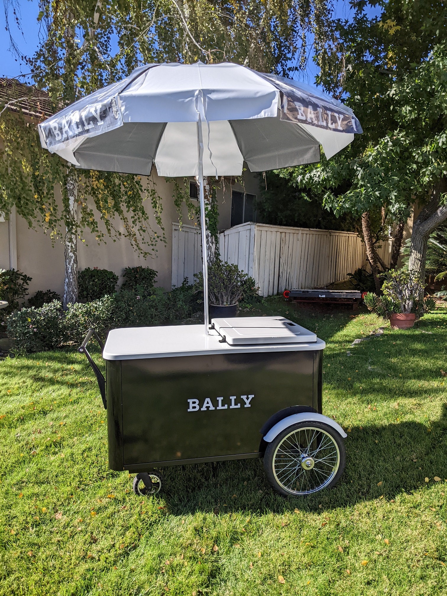 Ice Cream Mobile Cart Display Ice Cream Push Cart Etsy