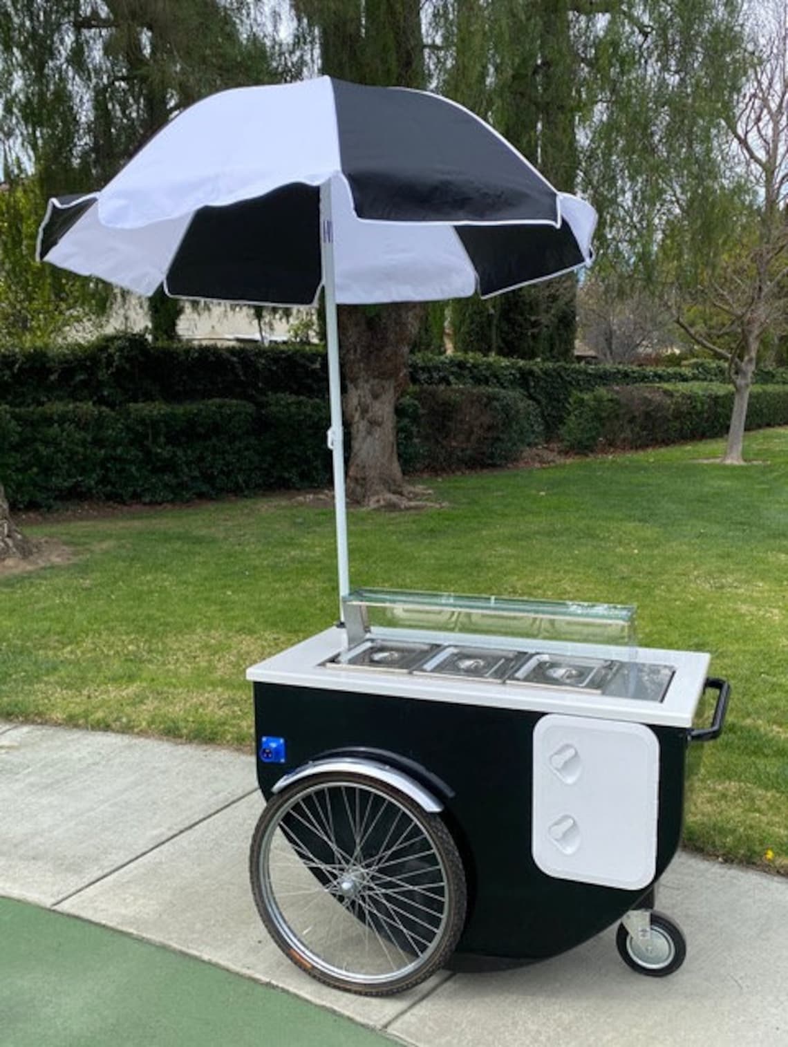 FOOD STEAMER CART Push Cart Comfort Foods Cart Electric Steam Cart Hot ...