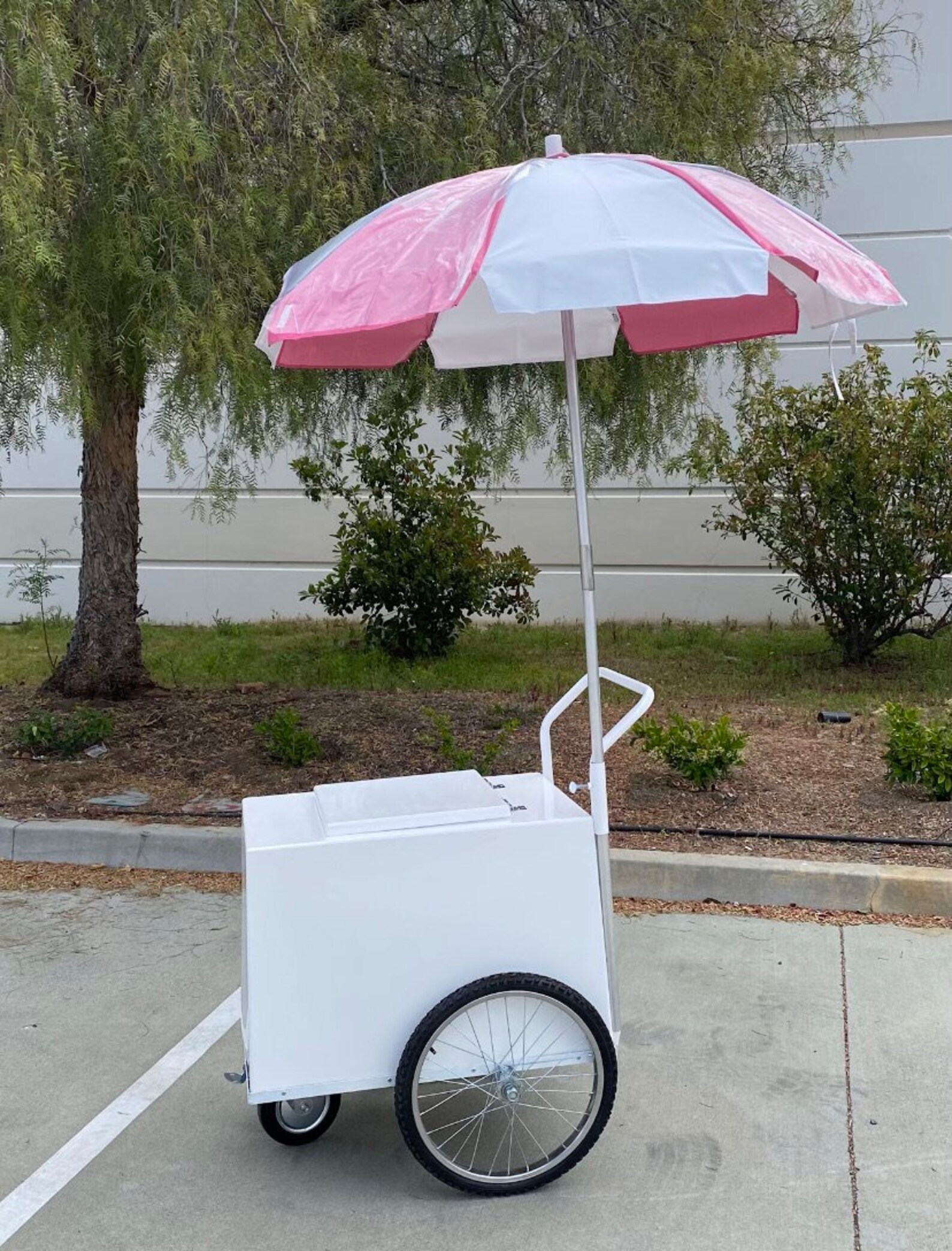 PALETAS CARRITO AMARILLO Mexican Carrito De Paletas Mexicanas ...