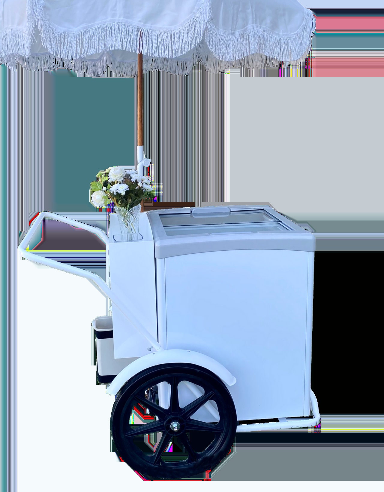 ICE CREAM FREEZER Cart Electric Freezer Cart Pool Cart Frozen Treats ...