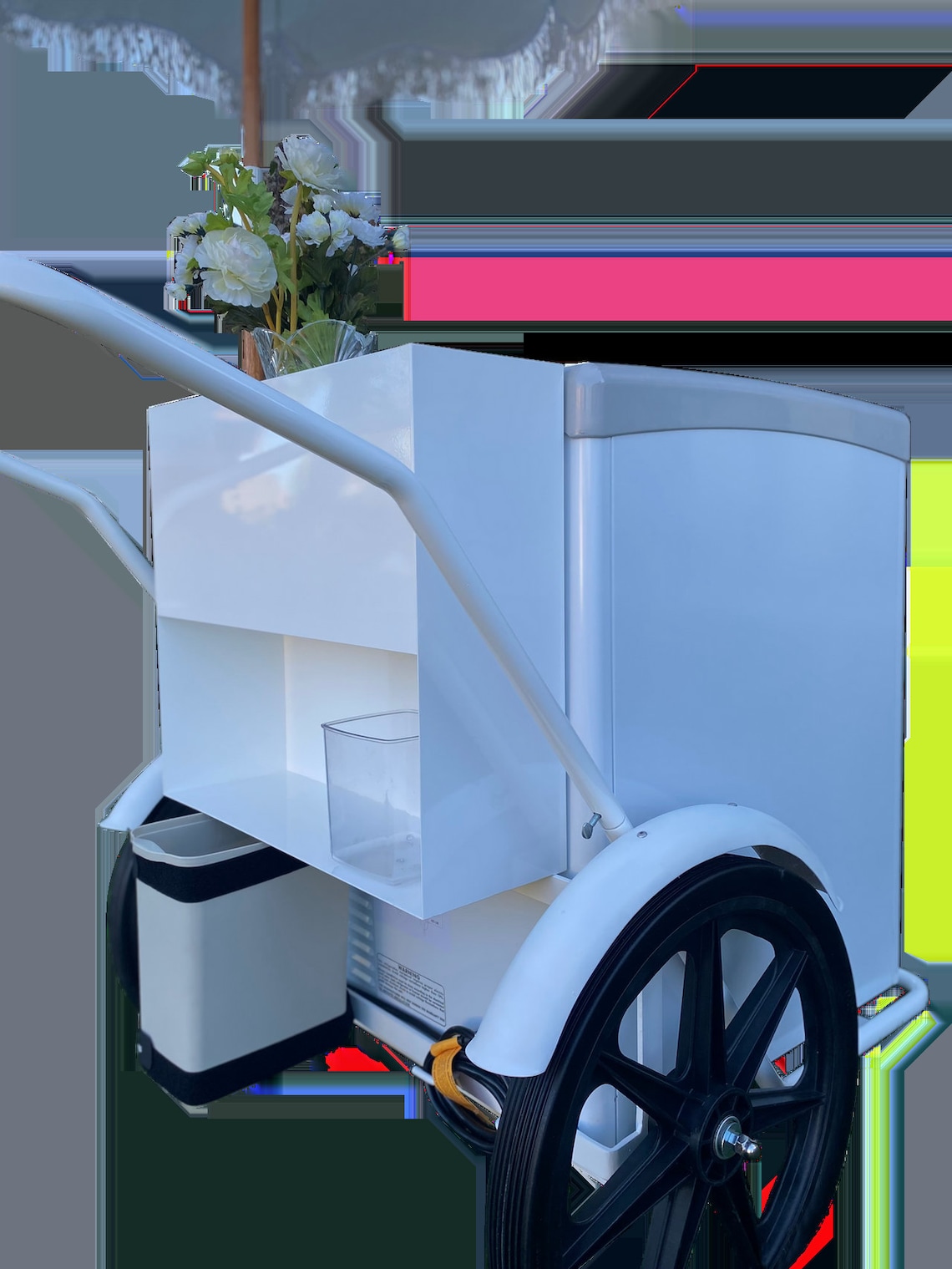 ICE CREAM FREEZER Cart Electric Freezer Cart Pool Cart Frozen Treats ...