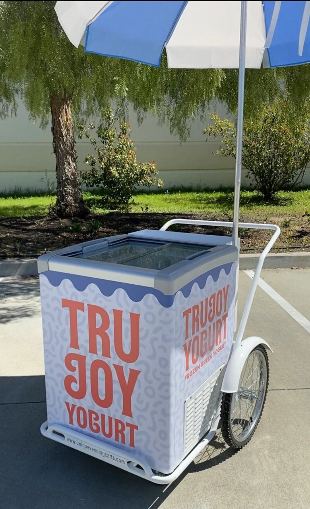 ICE CREAM FREEZER Cart Electric Freezer Cart Pool Cart Frozen Treats ...