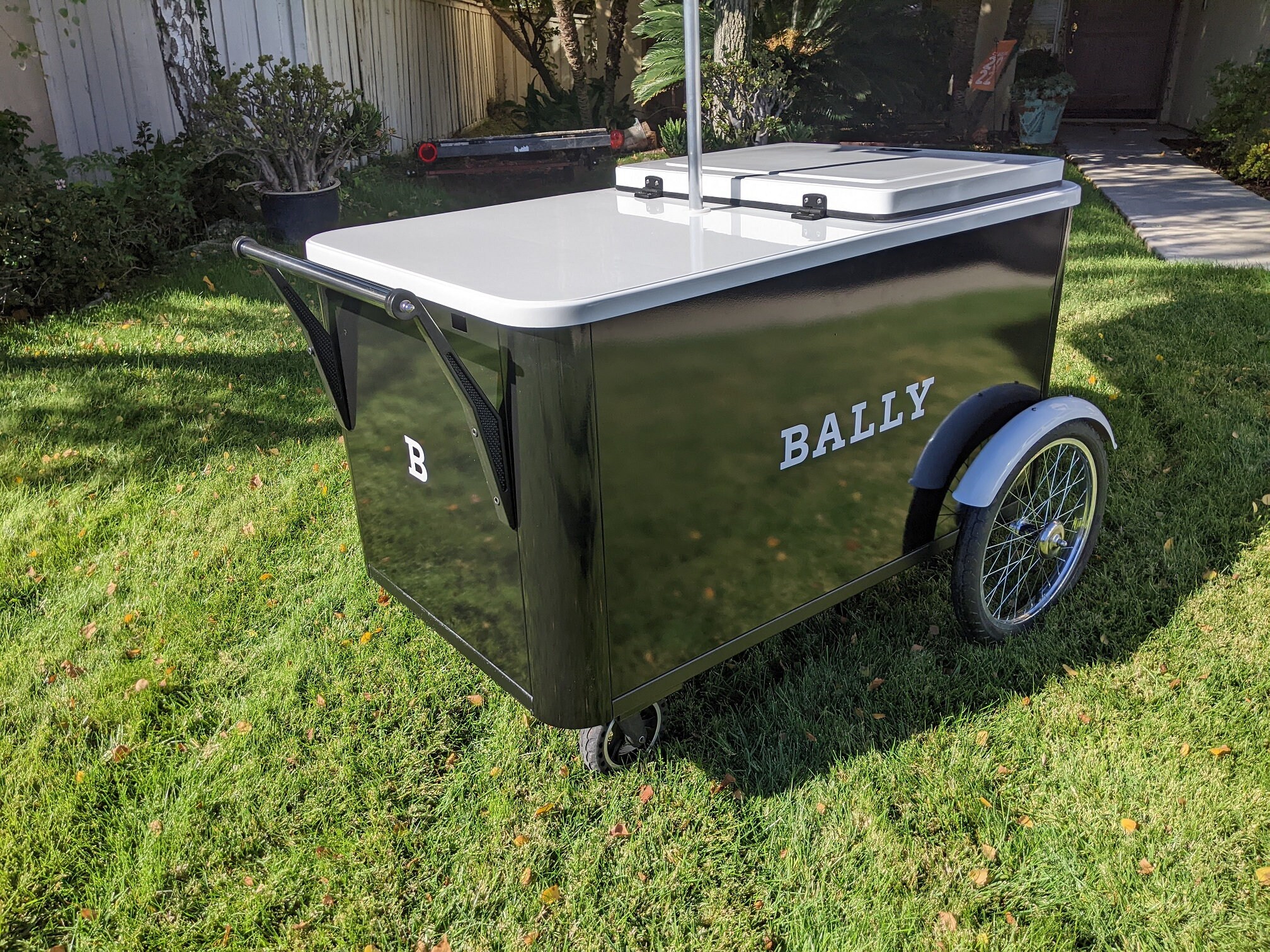 Ice Cream Mobile Cart Display Ice Cream Push Cart Etsy