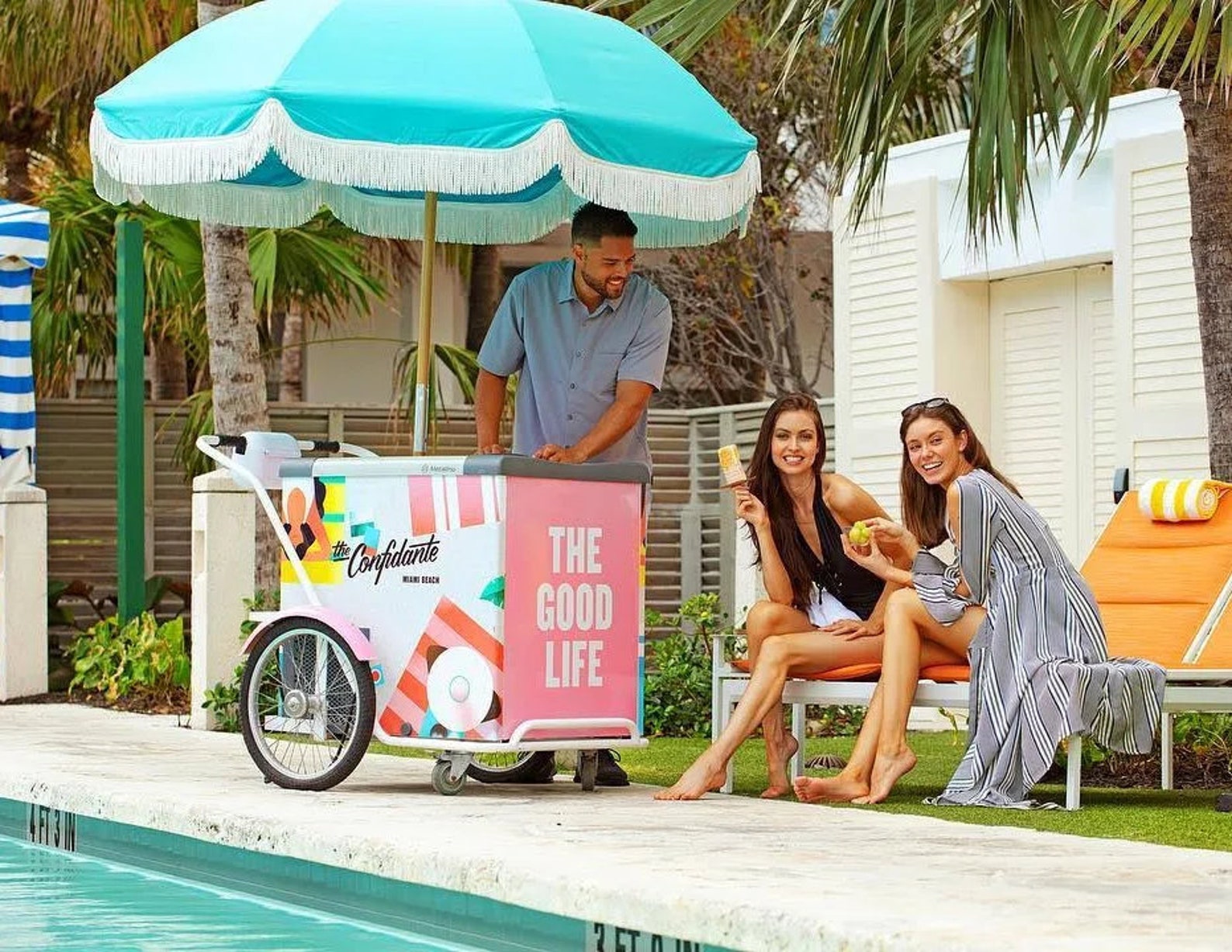 ICE CREAM FREEZER Cart Electric Freezer Cart Pool Cart Frozen Treats ...