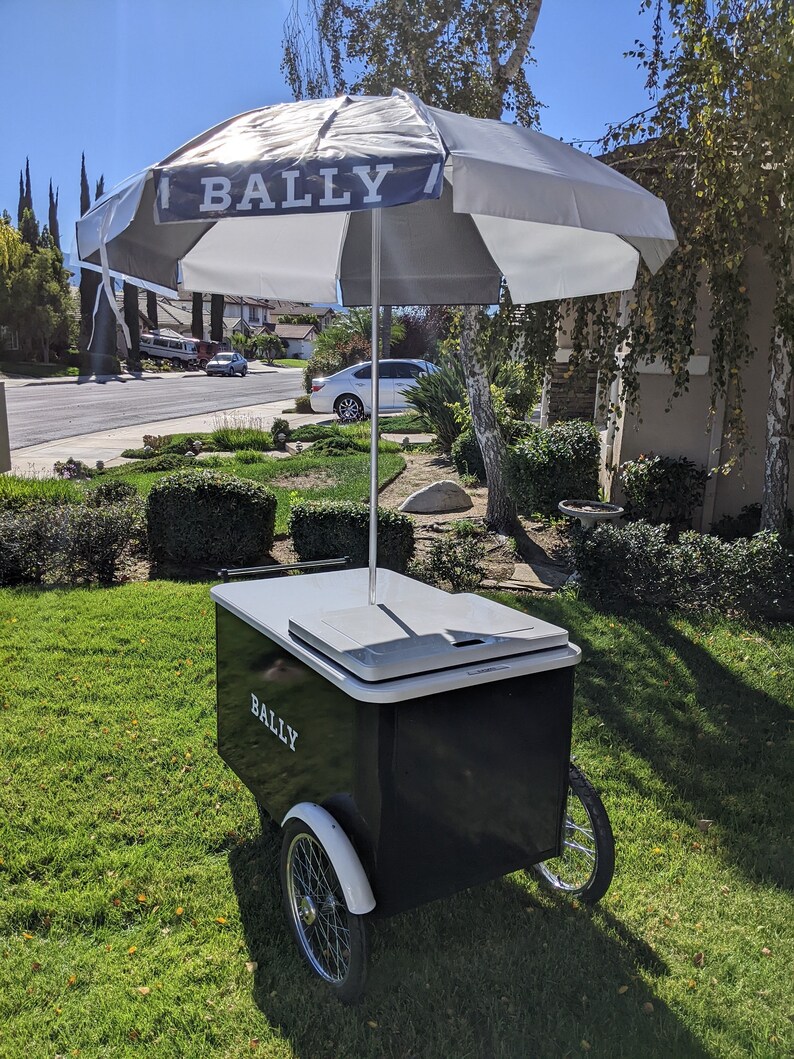 Ice Cream Mobile Cart Display Ice Cream Push Cart Etsy