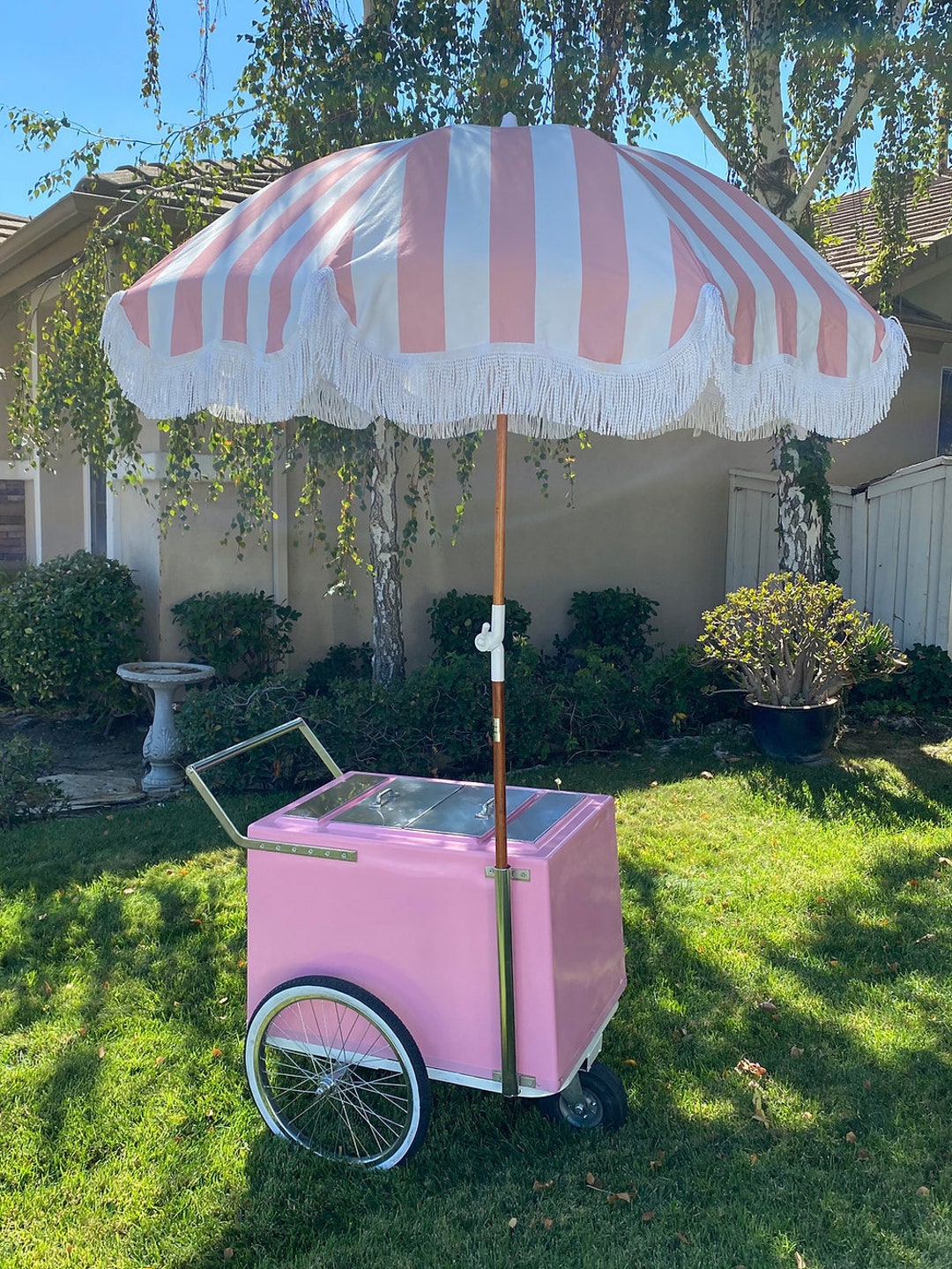 Carrito de Paleta Tradicional Mexicano Paletas Mexicanas - Etsy México