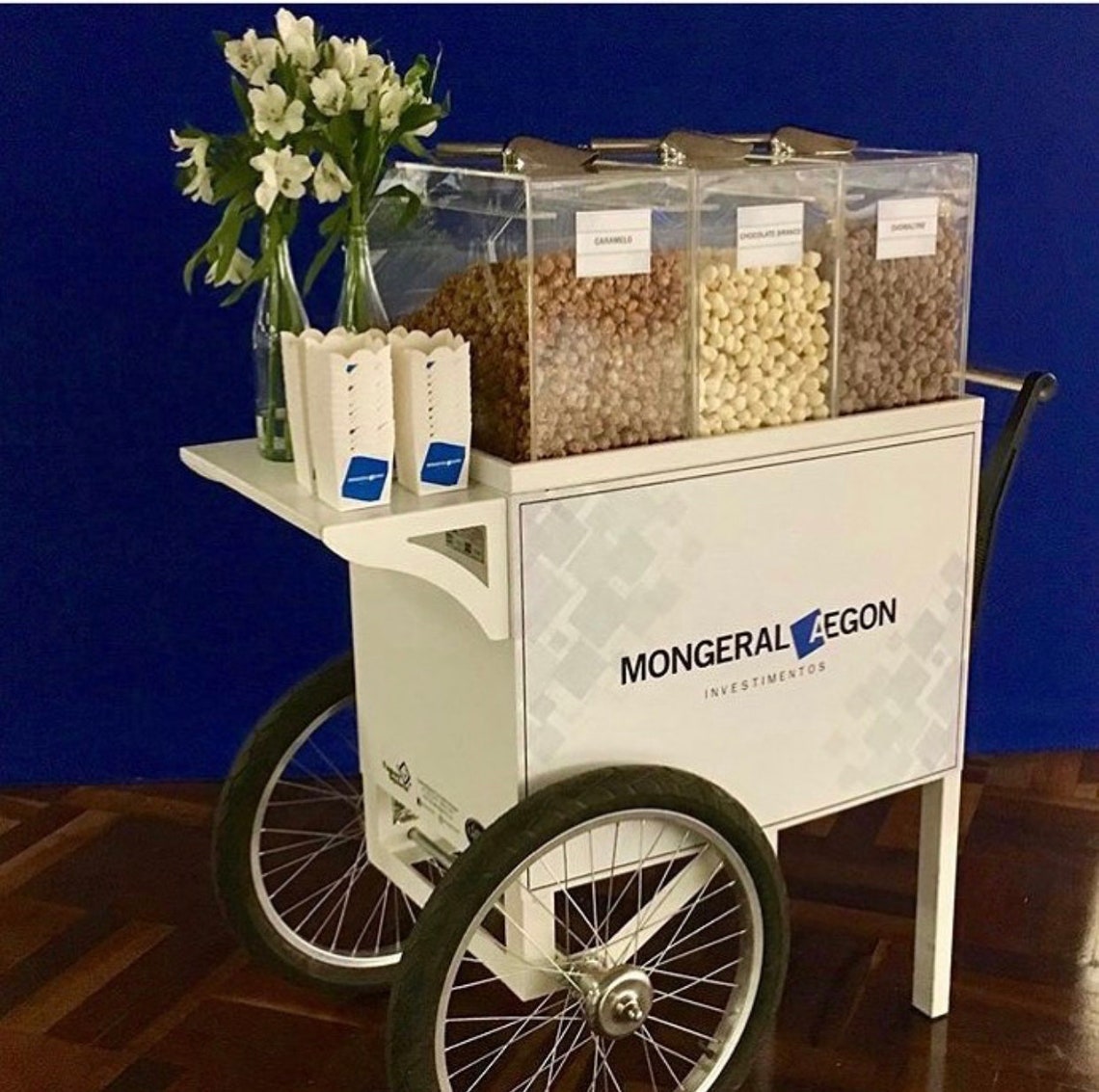 DISPLAY CART Candy Cart Display Push Cart Display Cart Merchandising ...