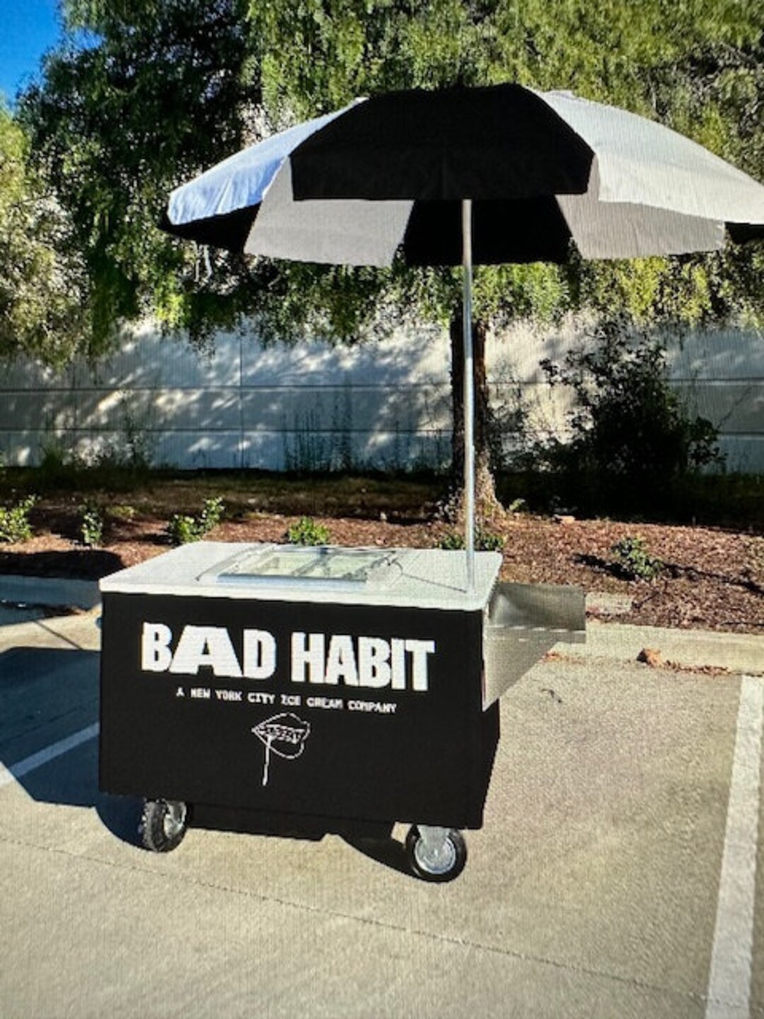 FREEZER COMPACT CART Ice Cream Branding Mobile Vending Scooped Ice ...