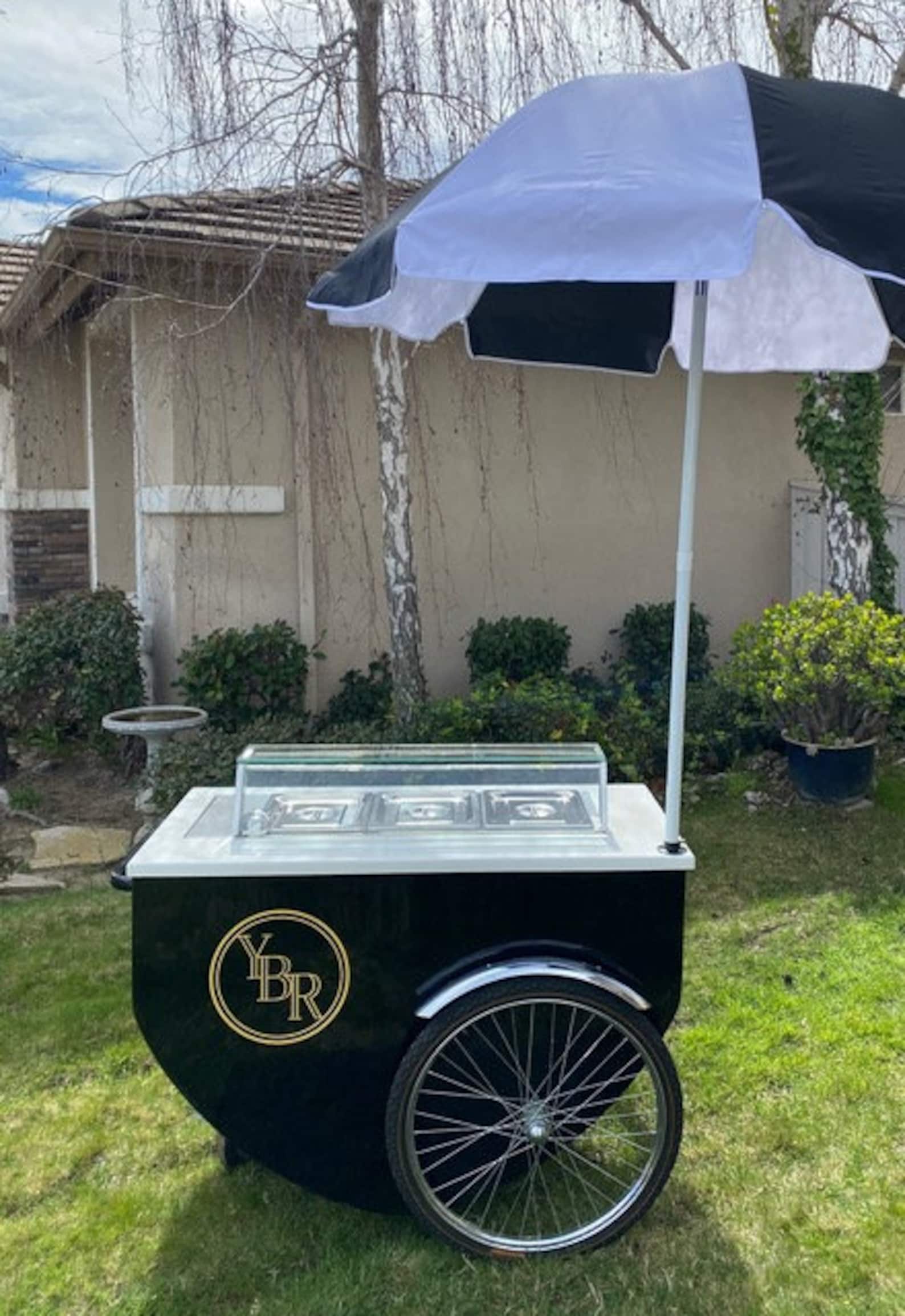 FOOD STEAMER CART Push Cart Comfort Foods Cart Electric Steam Cart Hot ...