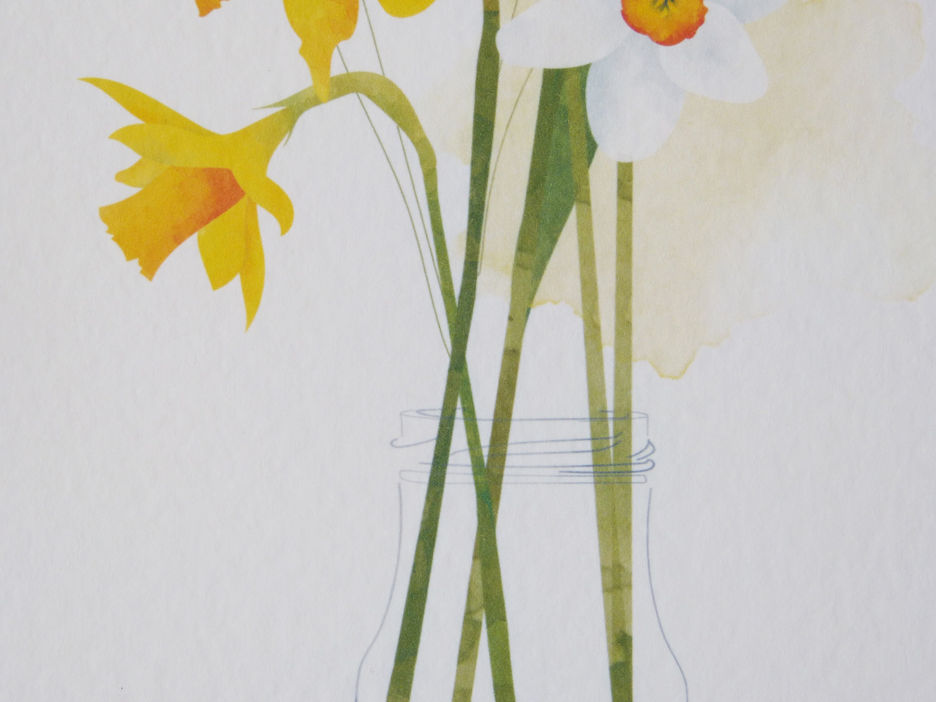 Daffodil print/ Floral print/ Daffodil wall art/ Floral wall | Etsy