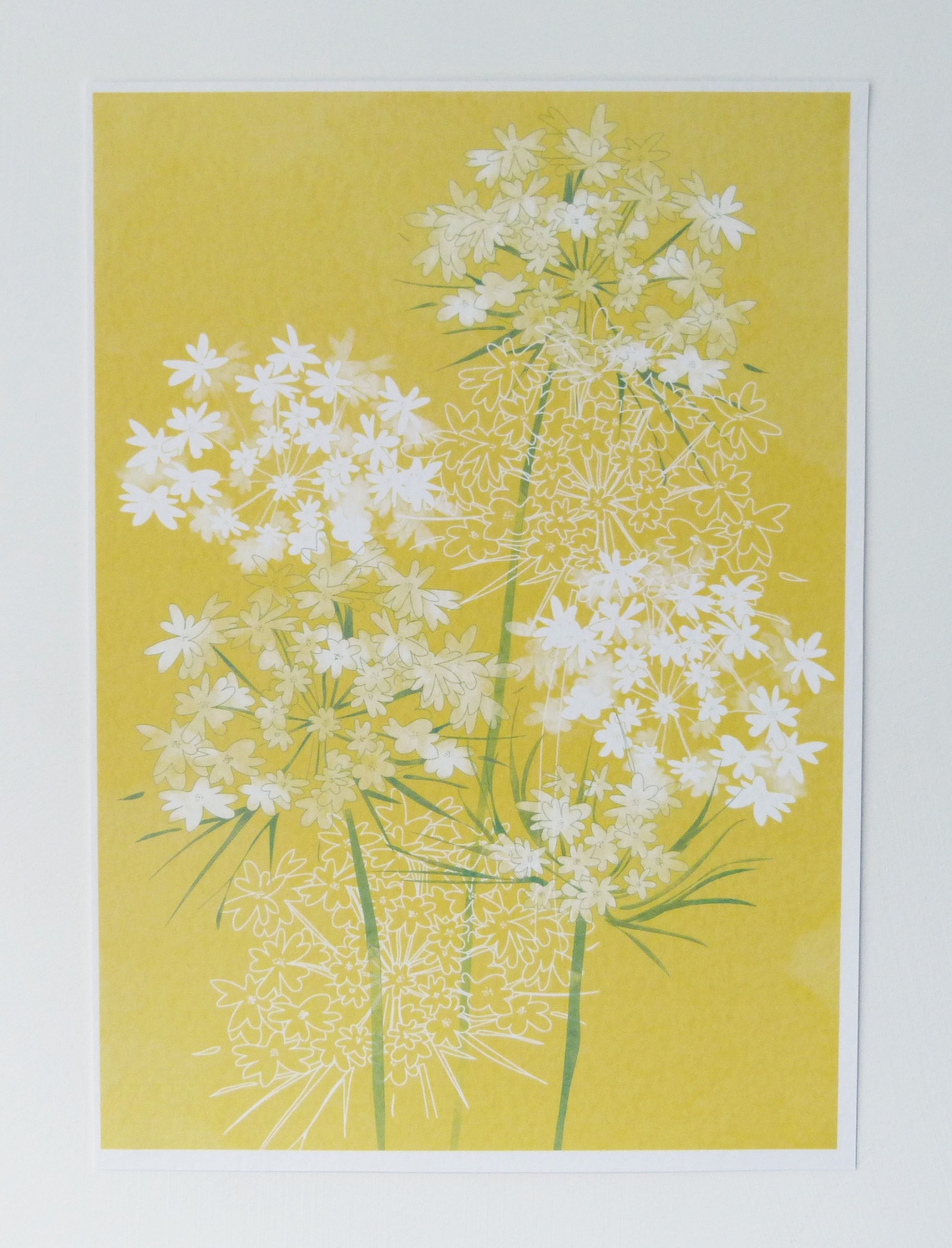 Cow Parsley Print/ Cow Parsley With Yellow Background Wall | Etsy UK