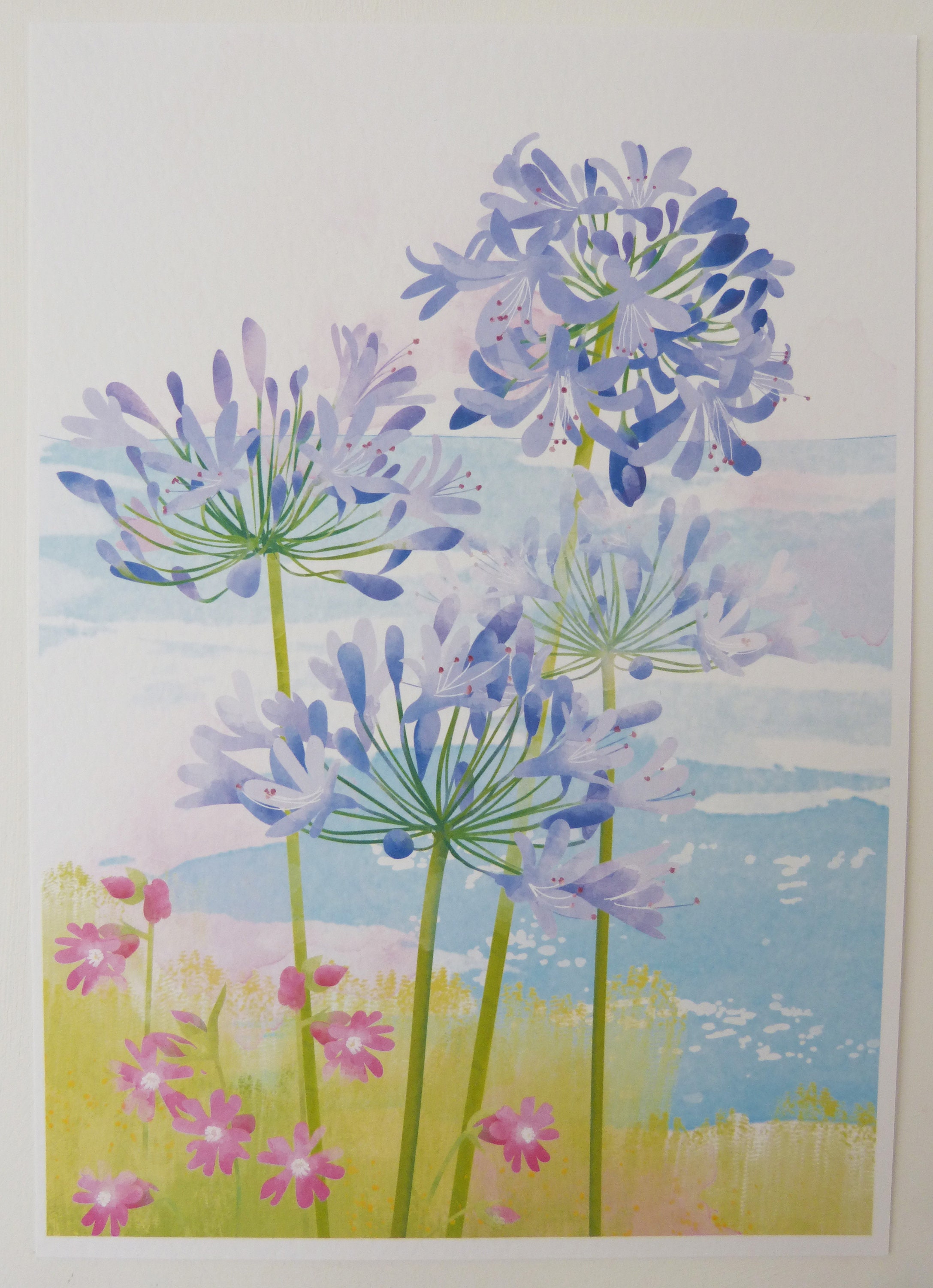 Agapanthus Print/ Coastal Flowers Agapanthus Art Print/ - Etsy