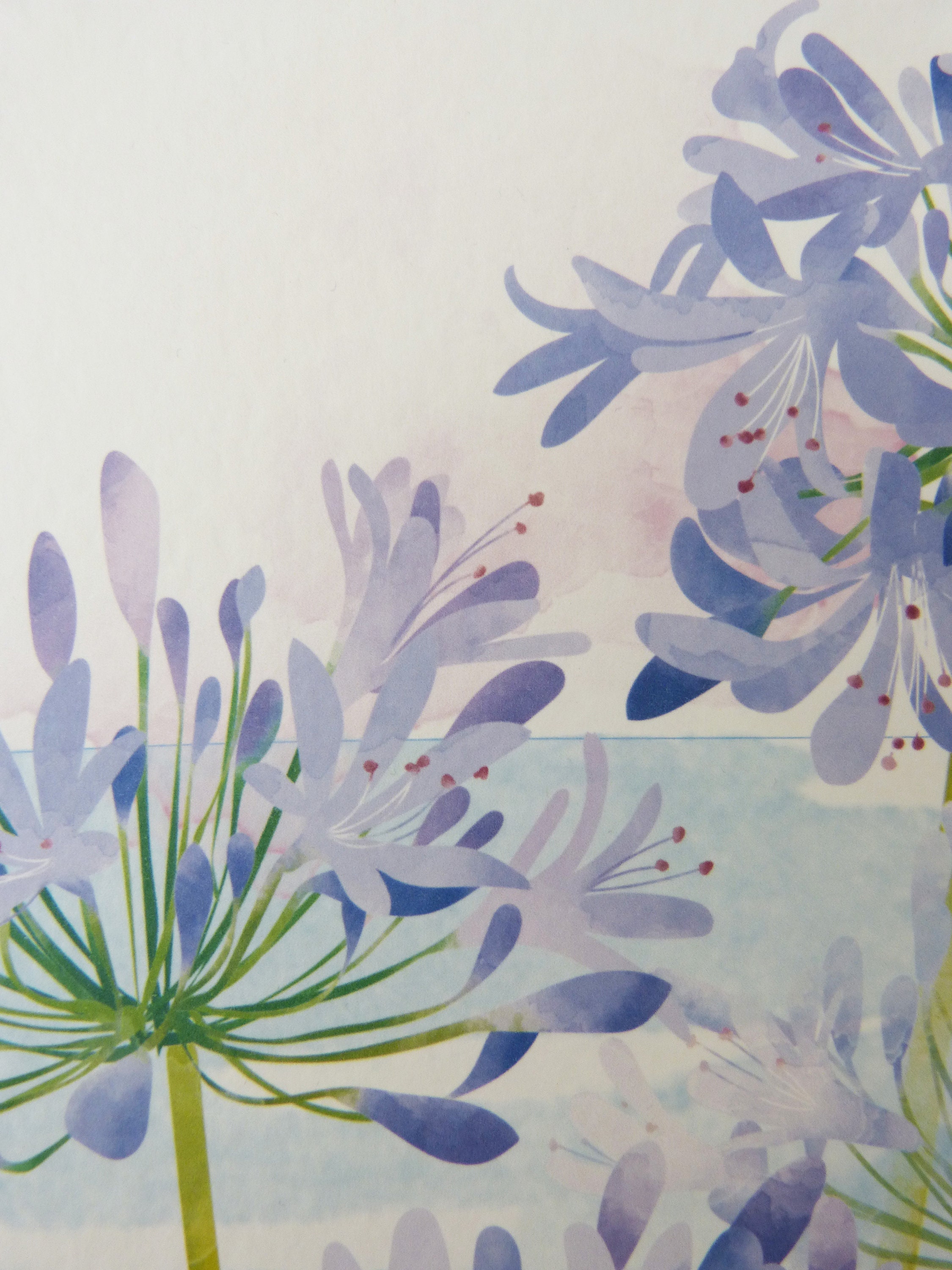 Agapanthus Print/ Coastal Flowers Agapanthus Art Print/ - Etsy