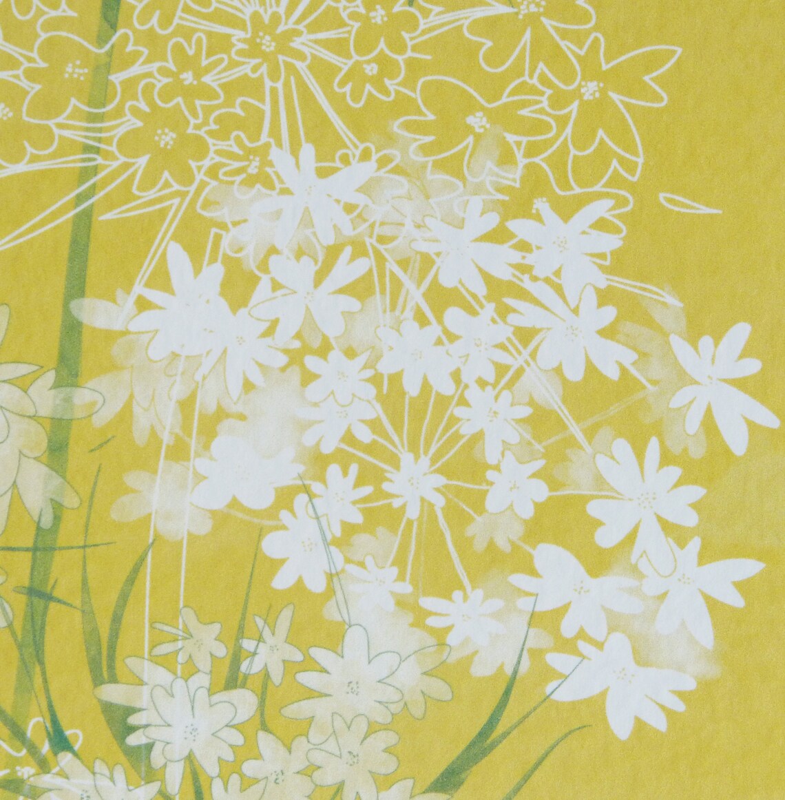 Cow Parsley Print/ Cow Parsley With Yellow Background Wall | Etsy UK