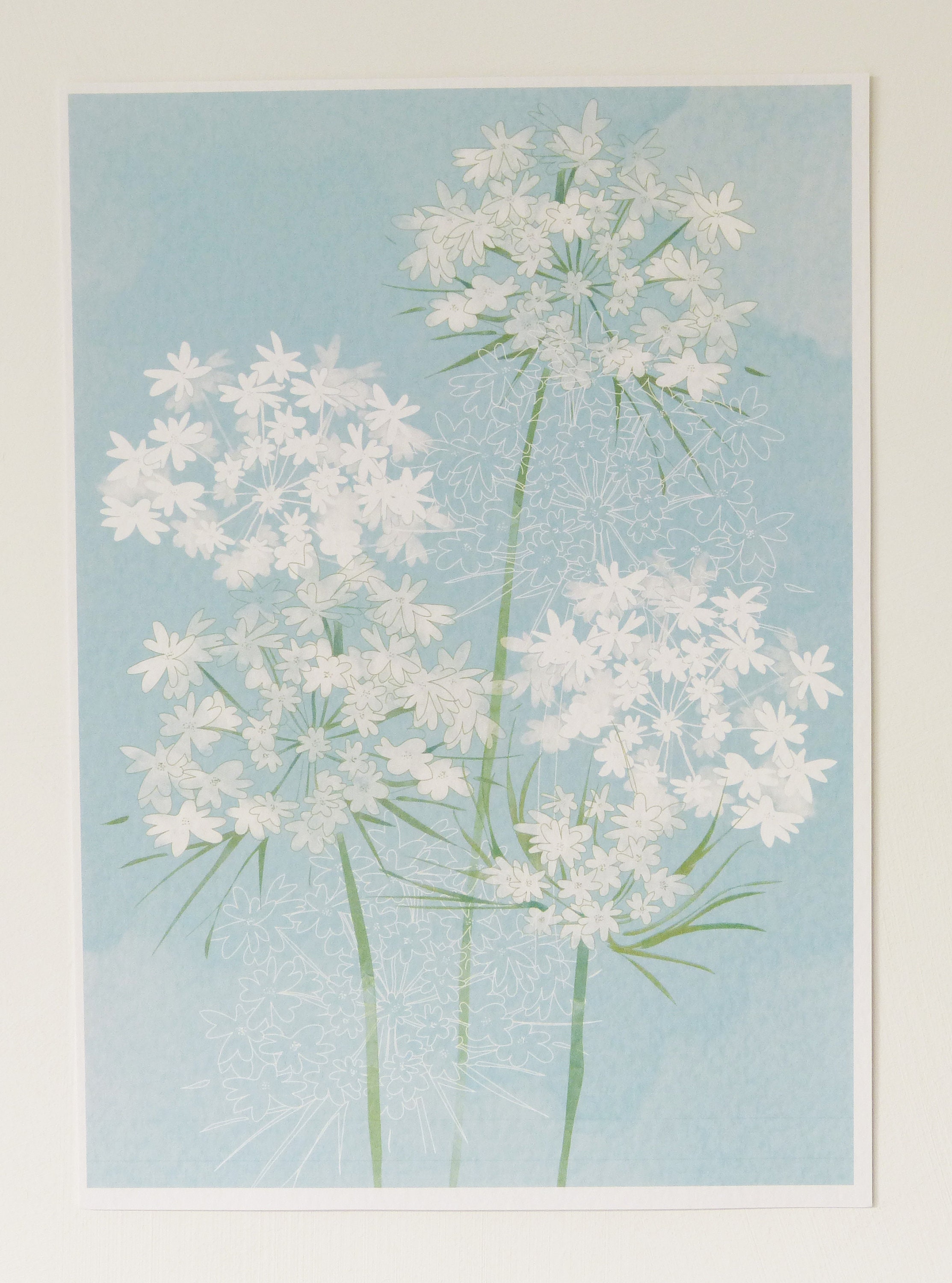 Cow Parsley Art Print/ Summer Meadow Wall Art/ Cow Parsley - Etsy