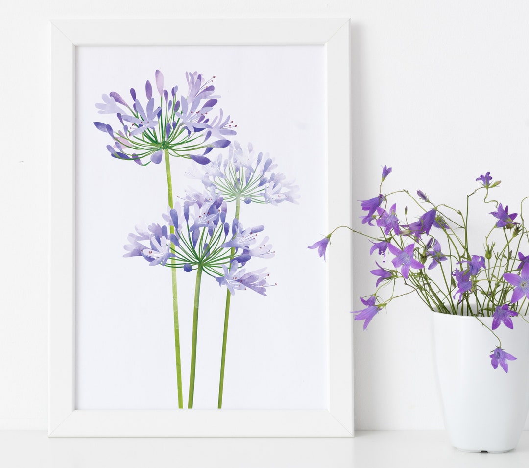 Agapanthus Print/ Blue Agapanthus Wall Art/ Contemporary Summer Florals ...