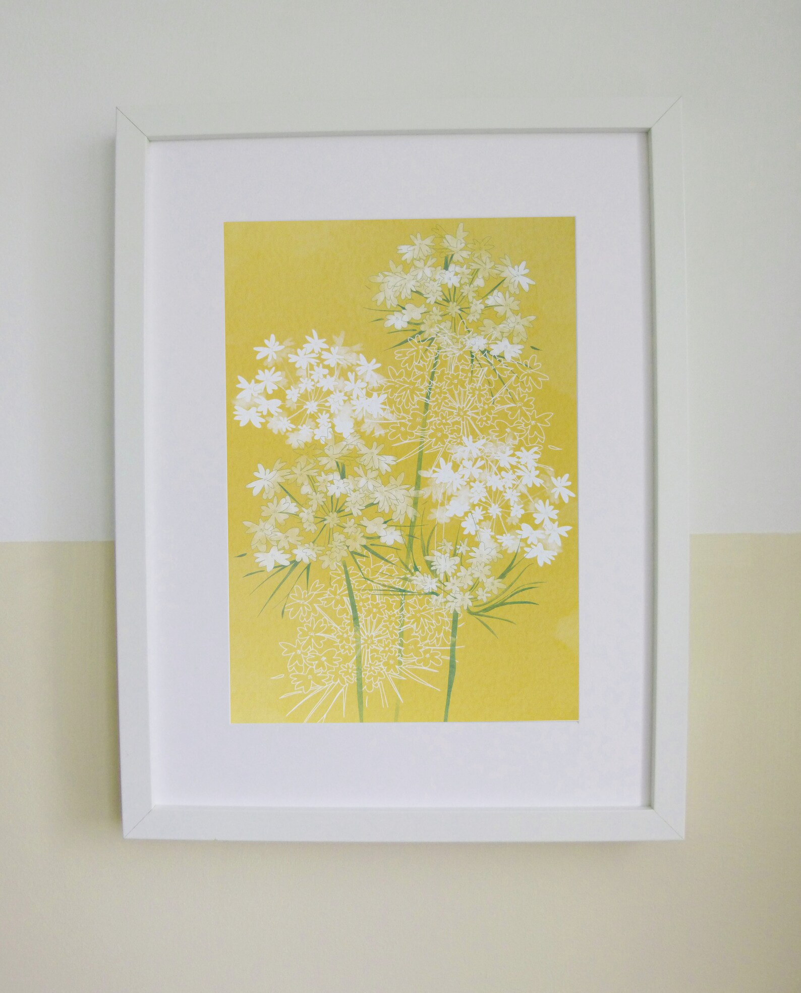 Cow Parsley Print/ Cow Parsley With Yellow Background Wall - Etsy