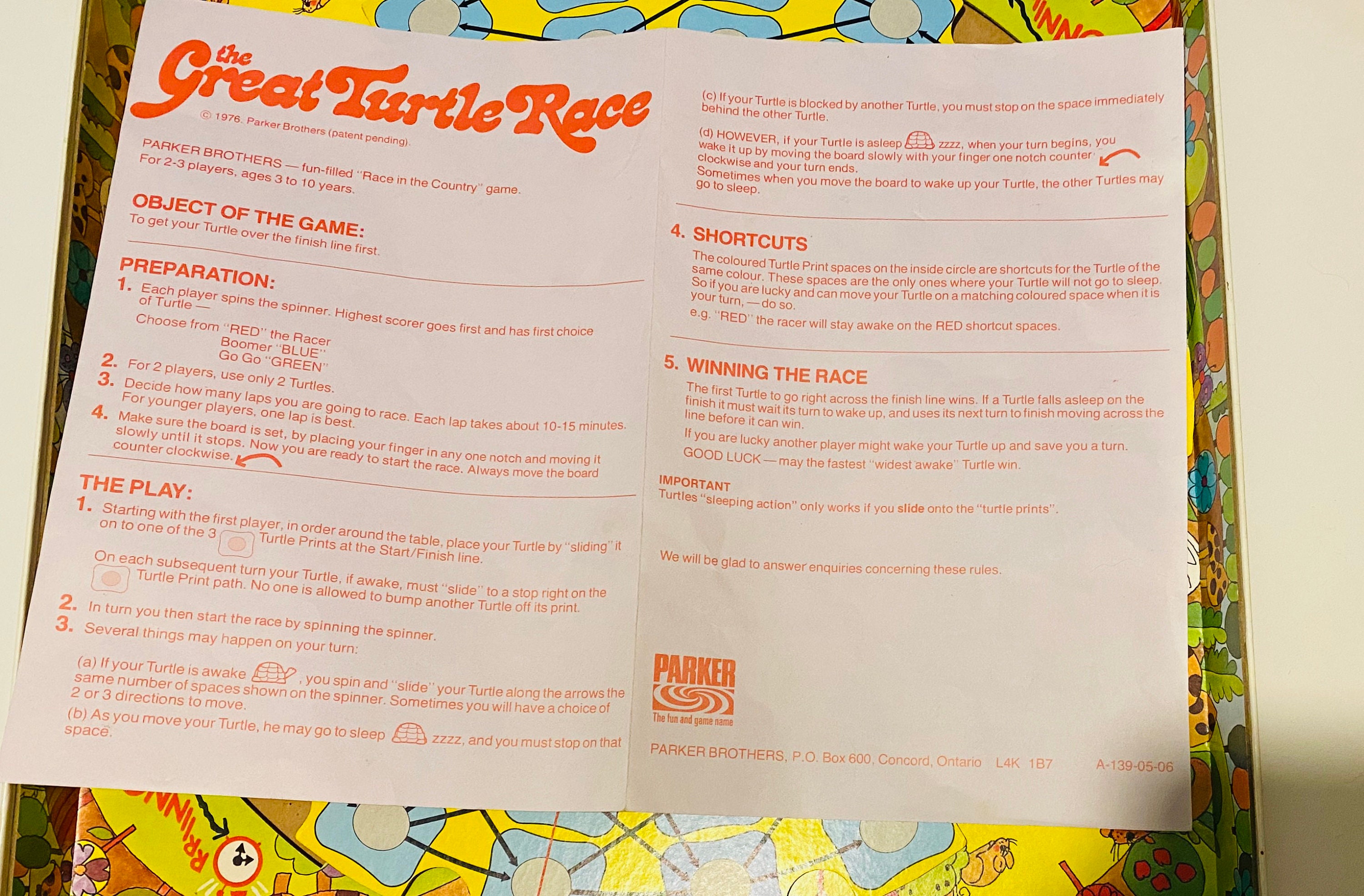 The Great Turtle Race Game A Fun Filled Race in the Country by - Etsy ...