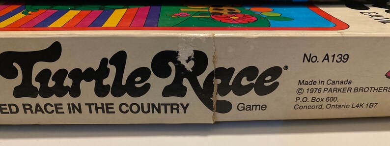 The Great Turtle Race Game A Fun Filled Race in the Country by - Etsy