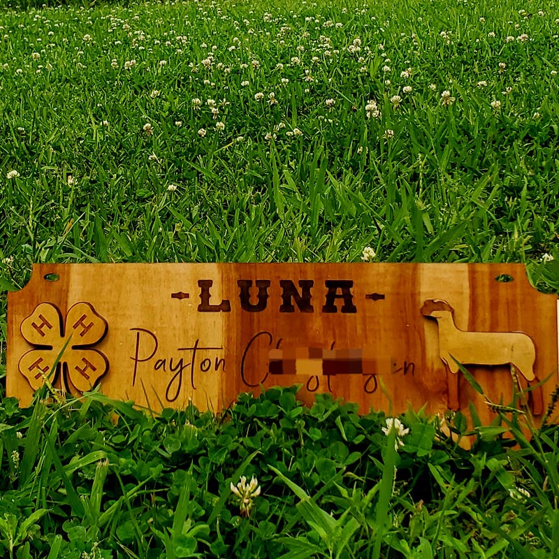 4 H Stall Sign - Etsy