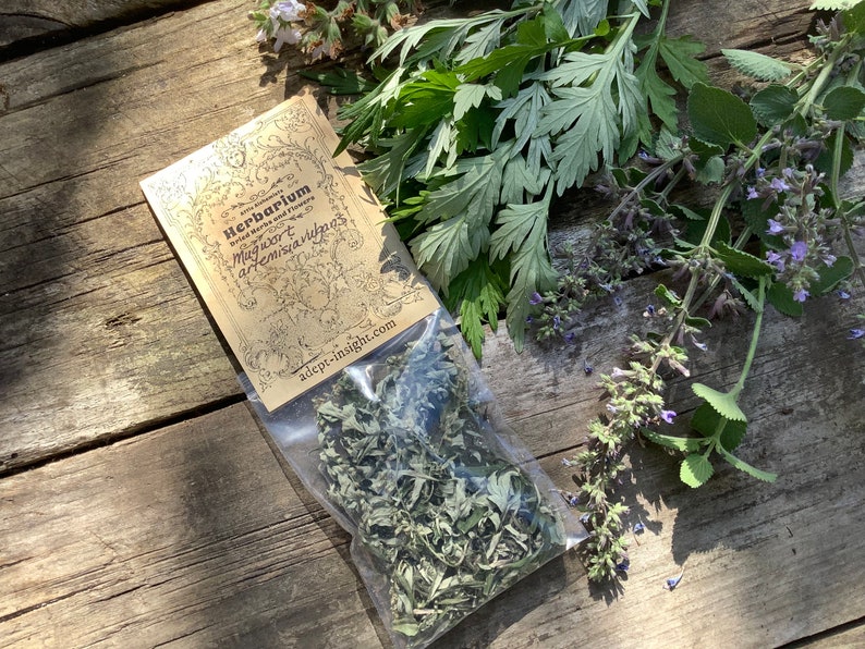 Mugwort Artemisia Vulgaris - Etsy