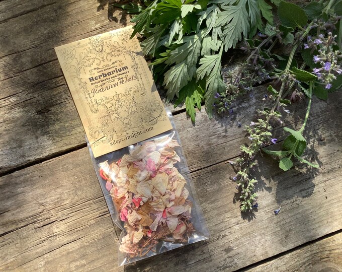 Geranium Petals Pelargonium Graveolens - Etsy