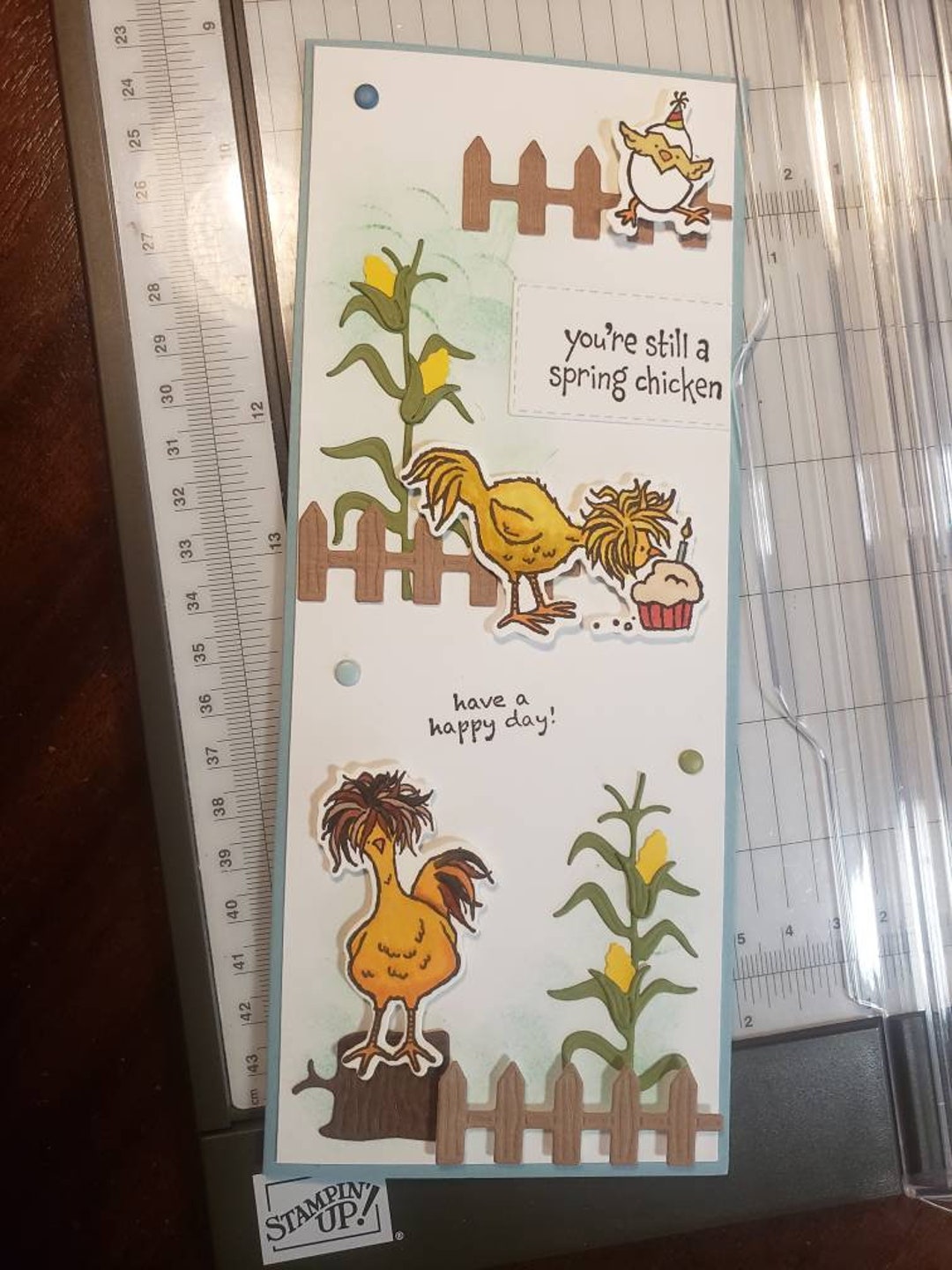 Spring Chicken - Etsy