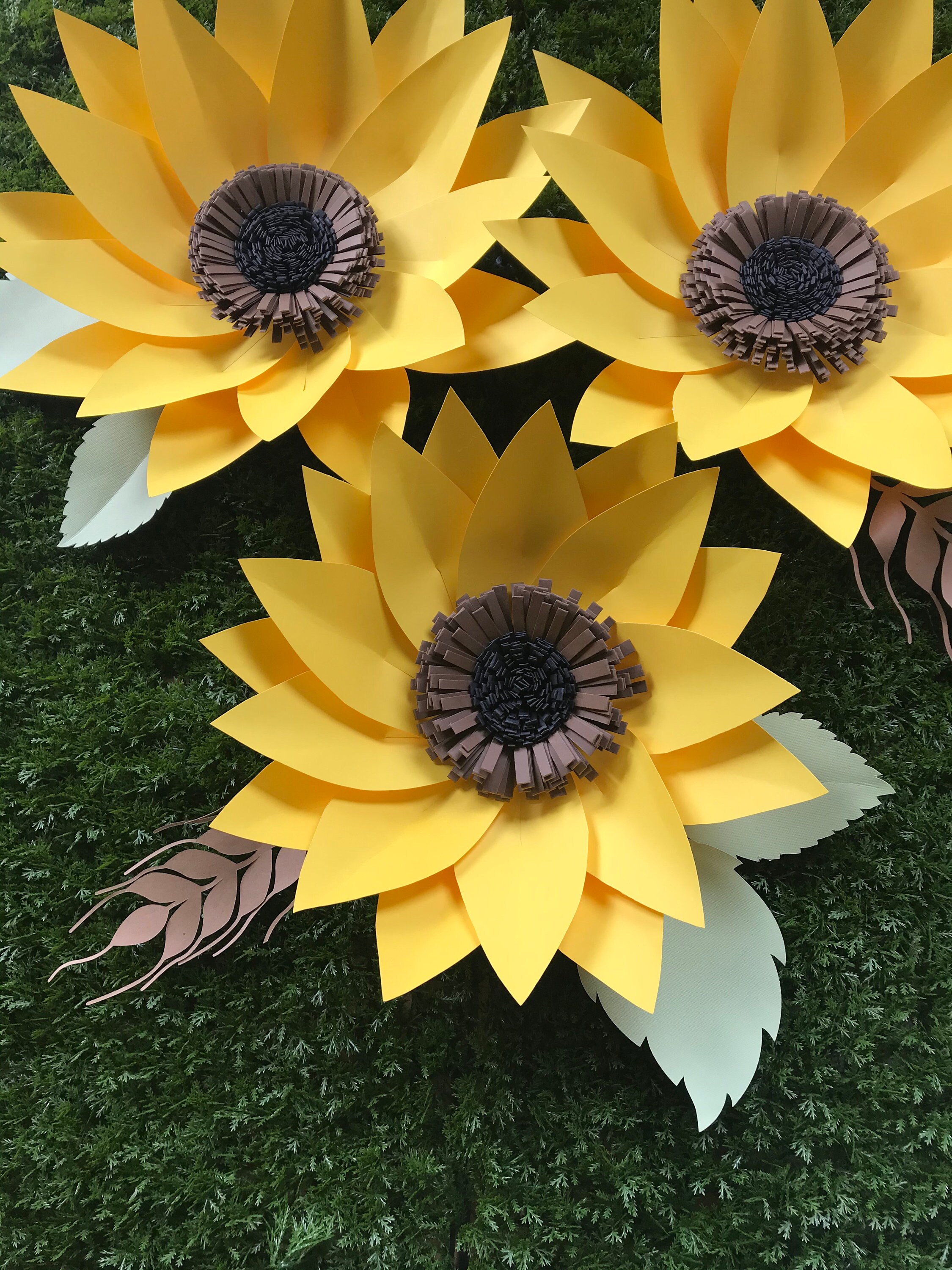 Large Paper Sunflower svg Sunflower svg sunburst sunflower | Etsy