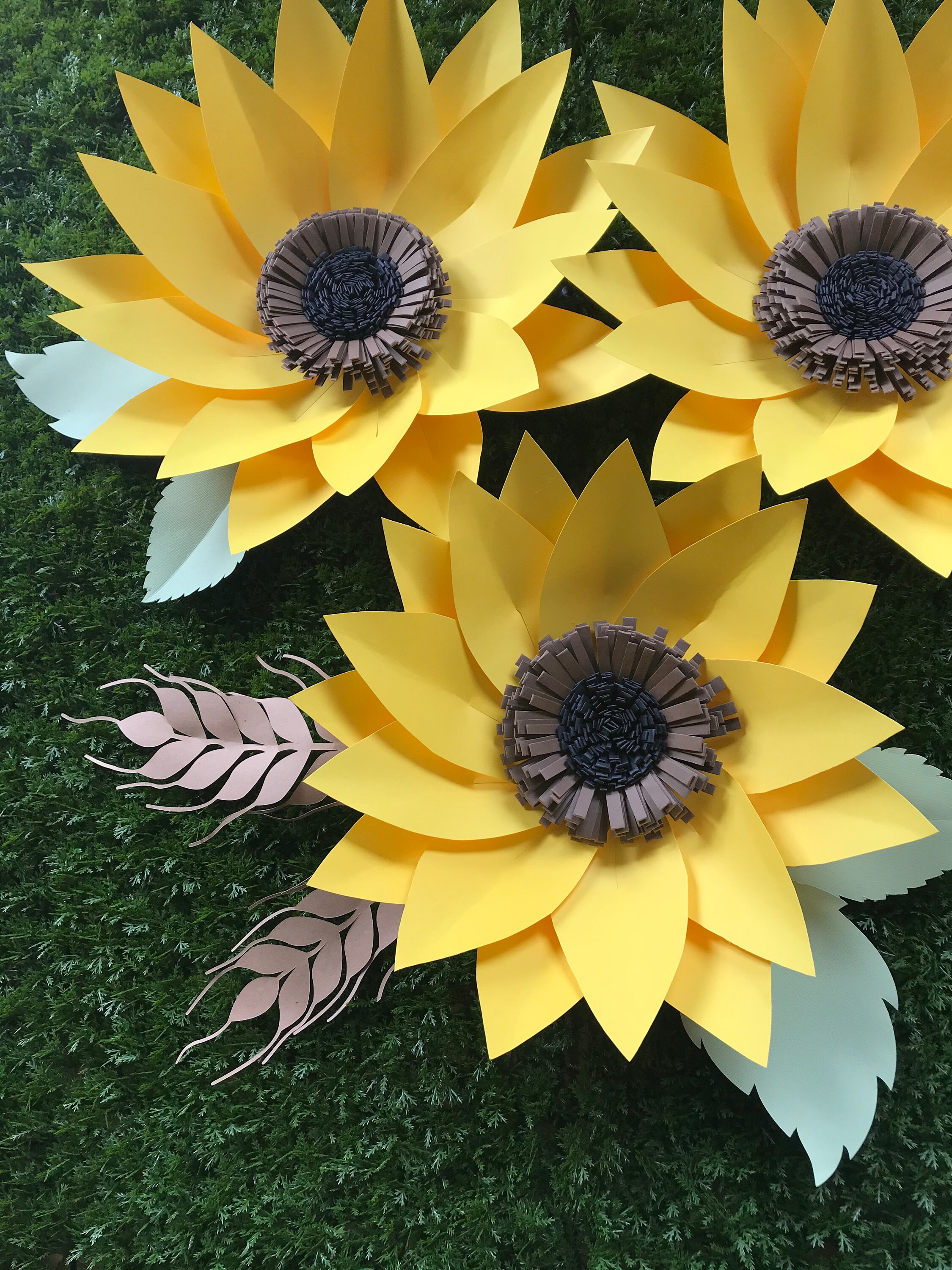 Large Paper Sunflower svg Sunflower svg sunburst sunflower | Etsy