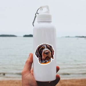 German Wirehaired Pointer Sticker - Water Resistant Stickers ...