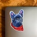 Custom Dog Decal Waterproof Stickers Doggo Sticker Popular - Etsy