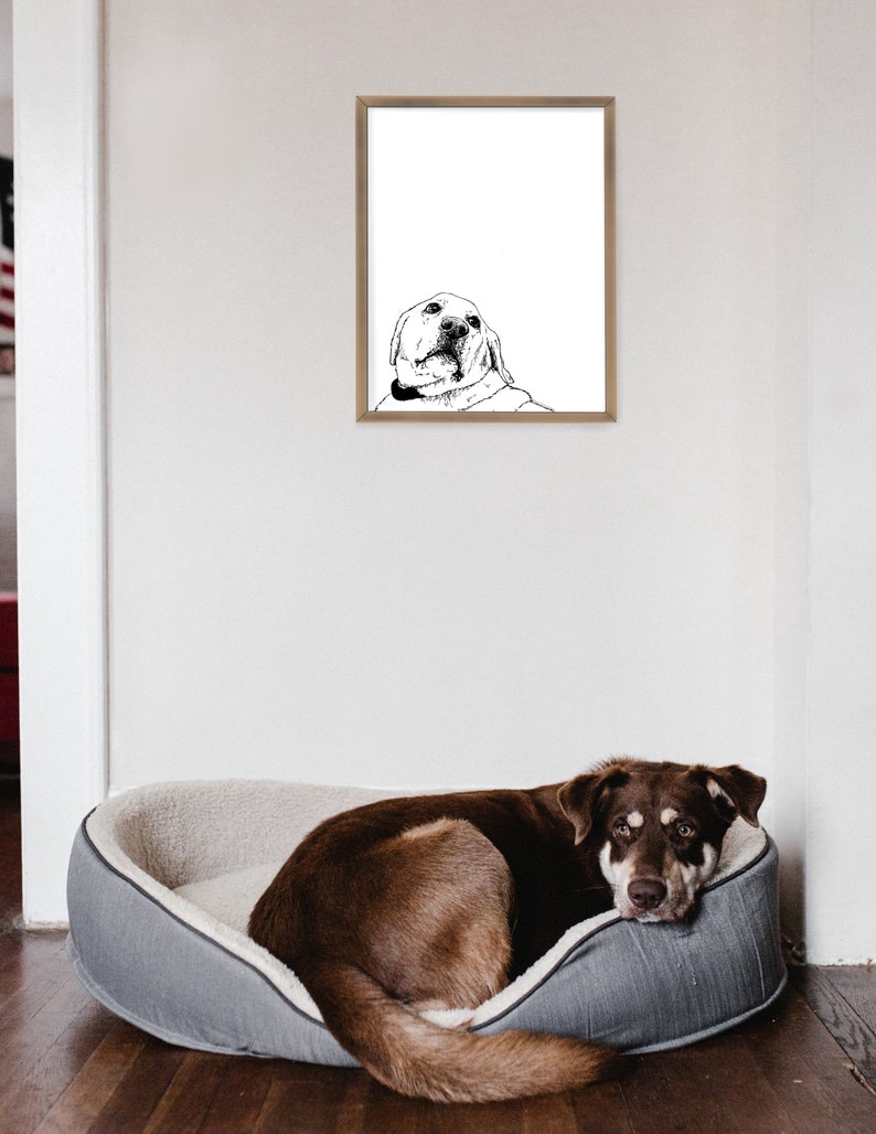 Chunky Lab Print Instant Download Yellow Lab Digital Print - Etsy