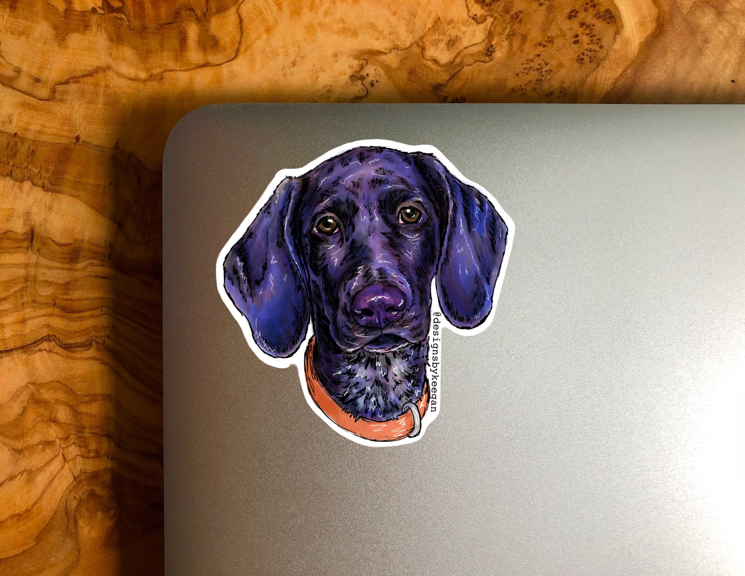German Shorthaired Pointer Sticker Water Resistant Stickers | Etsy