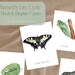 Forest Plant and Animal Nomenclature, Flash Cards, and Display Cards ...