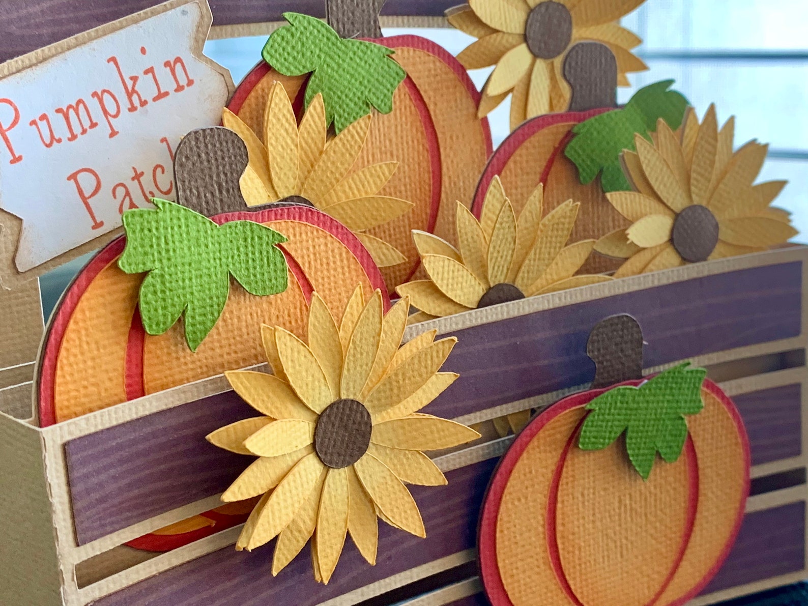 Pumpkin Patch Box Card | Etsy