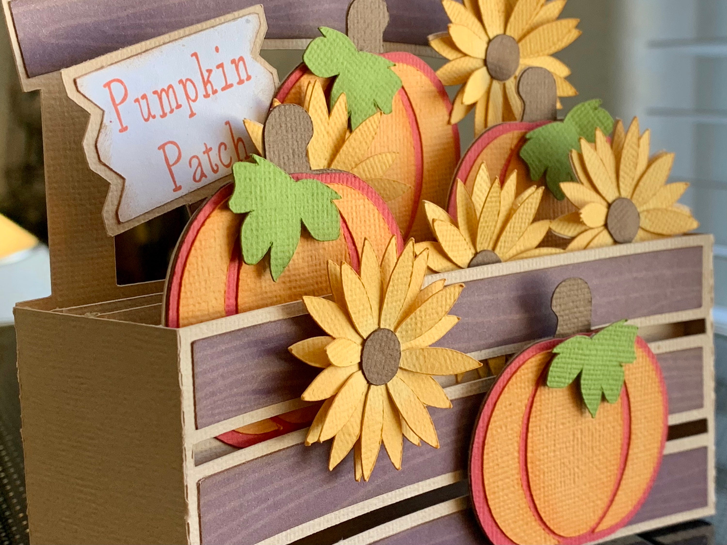 Pumpkin Patch Box Card - Etsy