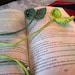 Sprout Bookmarks - Etsy