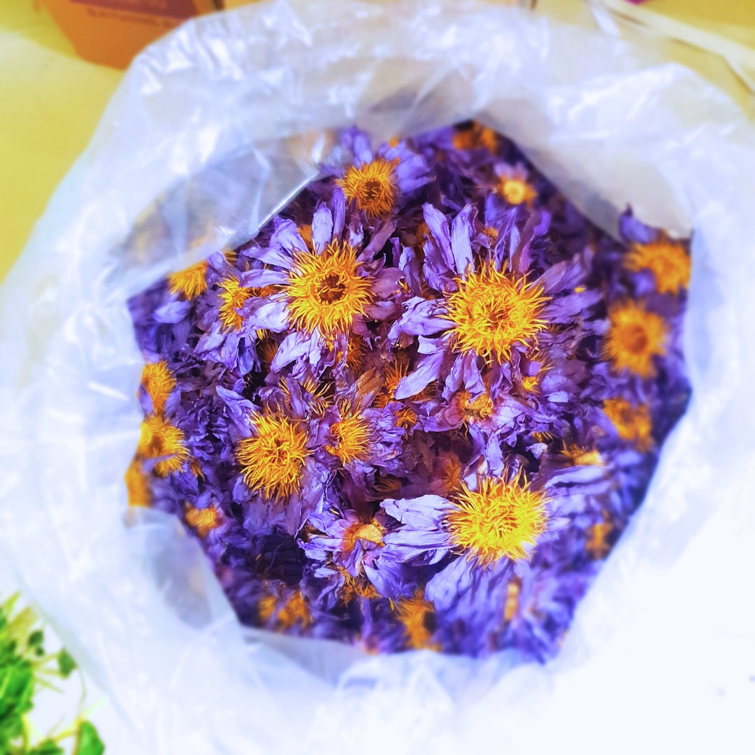 Dry Blue Lotus Whole Flowers / Blue Water Lily / Sacred Blue Lotus - Etsy