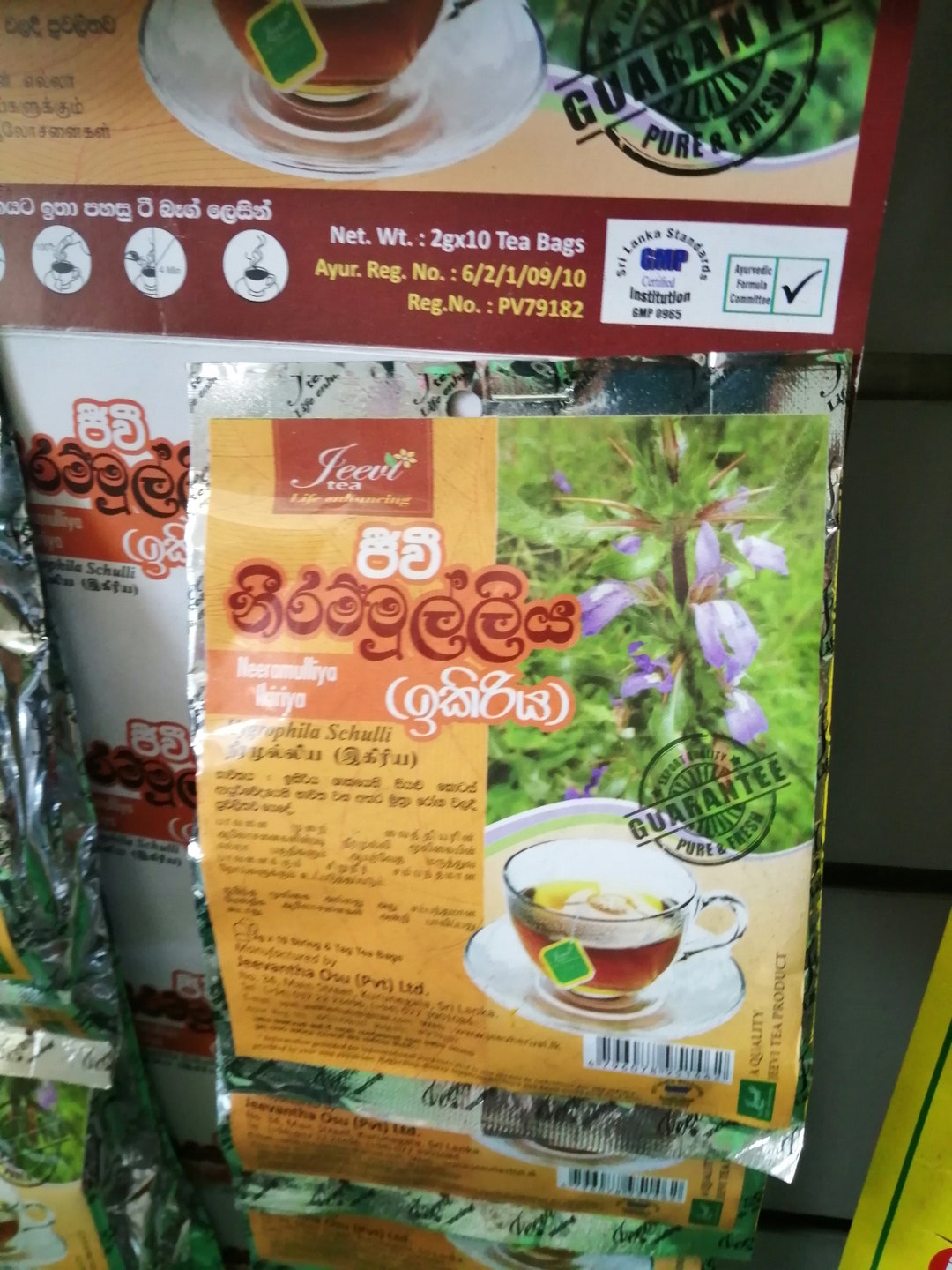 Neermulli/ Marsh Barble/ Hygrophila Schulli | 100% Natural Herbal ...