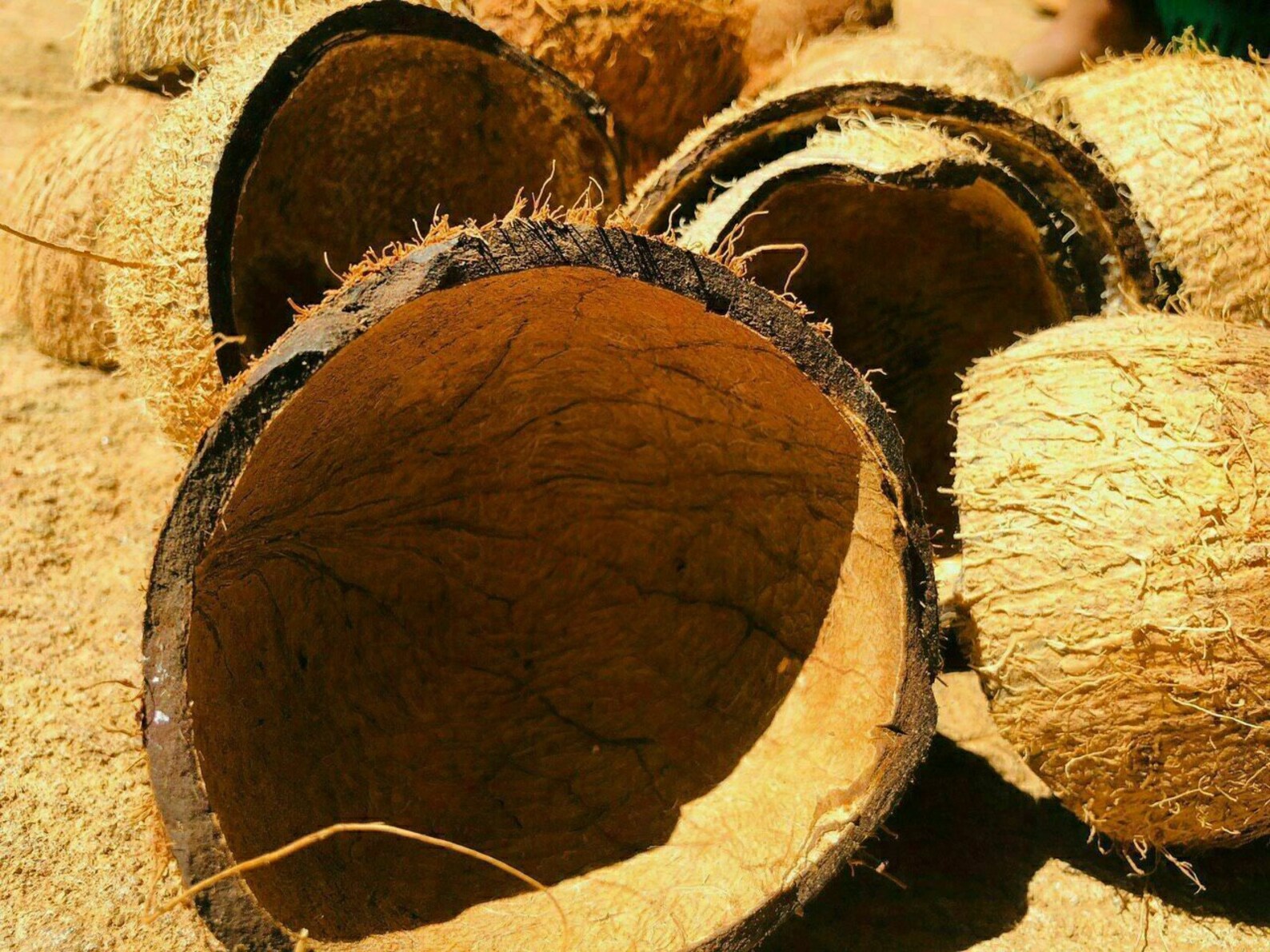 100% Natural High Quality Washed & Sun Dried Coconut Shell - Etsy