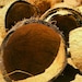 100% Natural High Quality Washed & Sun Dried Coconut Shell Halves 2 ...