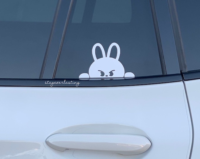 Peekaboo SKZOO Car Decals - Etsy