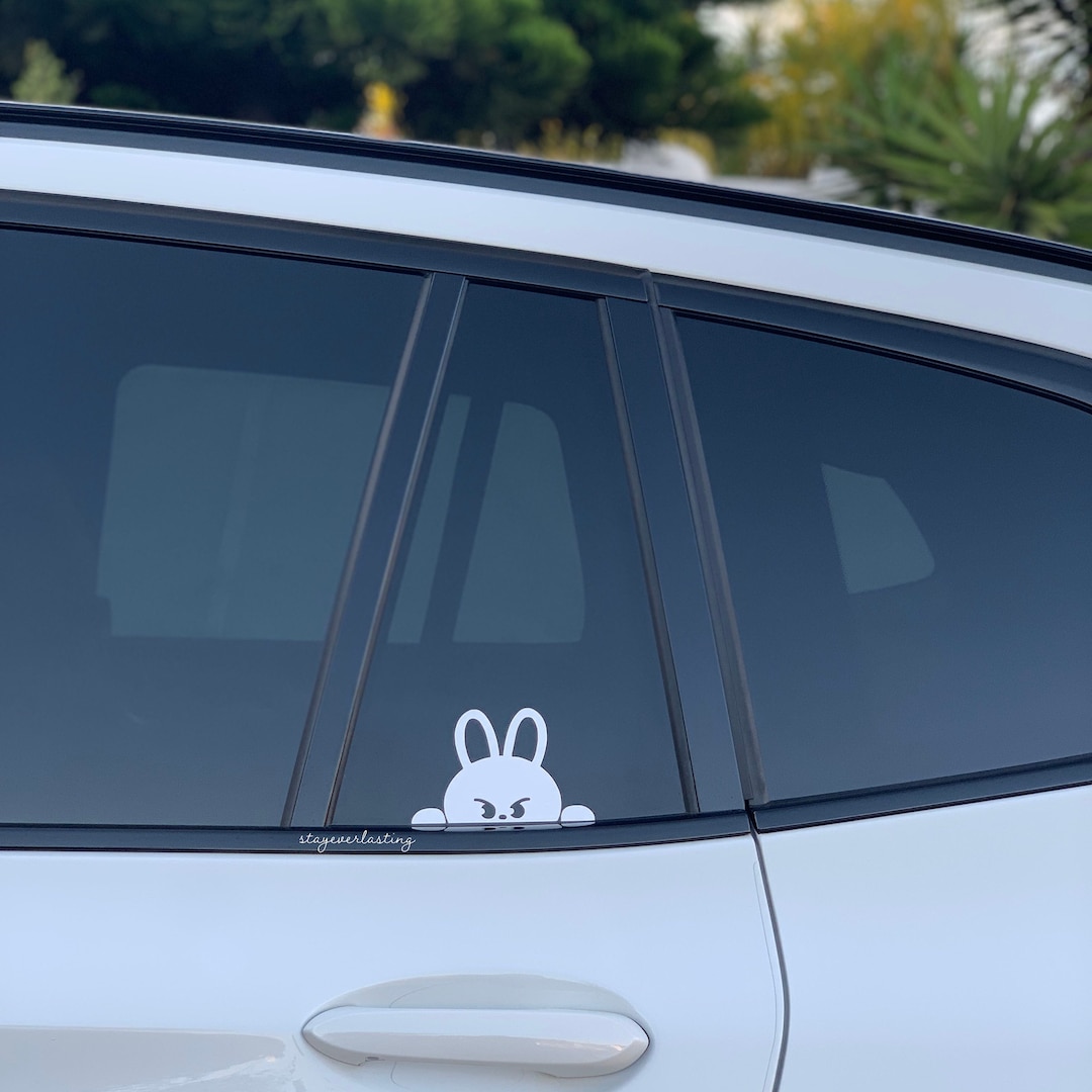 Peekaboo SKZOO Car Decals - Etsy