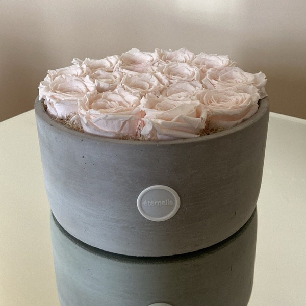 Porcelain Roses - Etsy