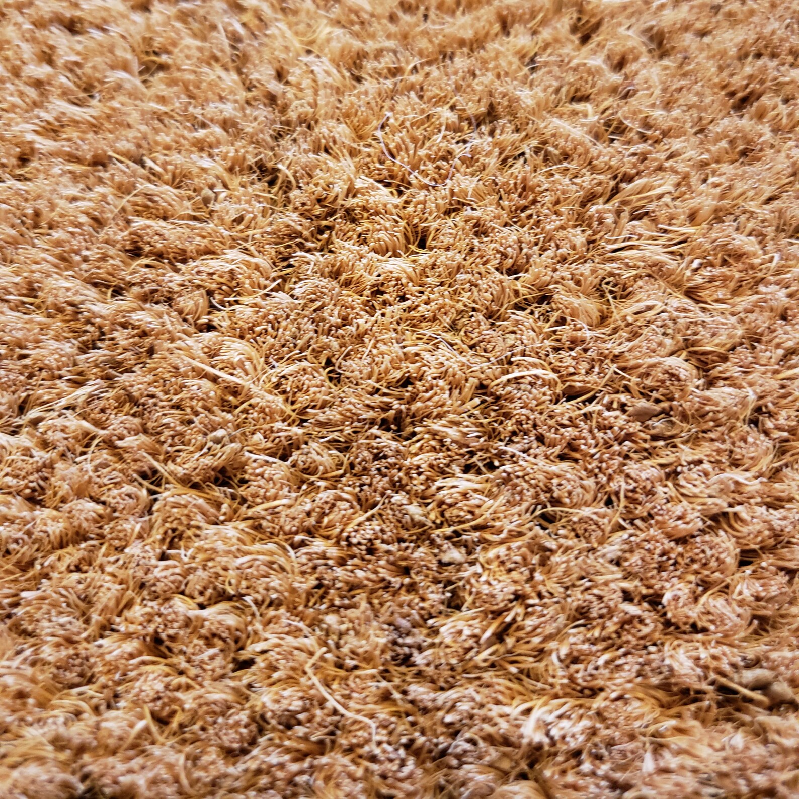 Bunch of Corgis Dog Mom Gift Corgi Door Mat Funny Dog Welcome | Etsy