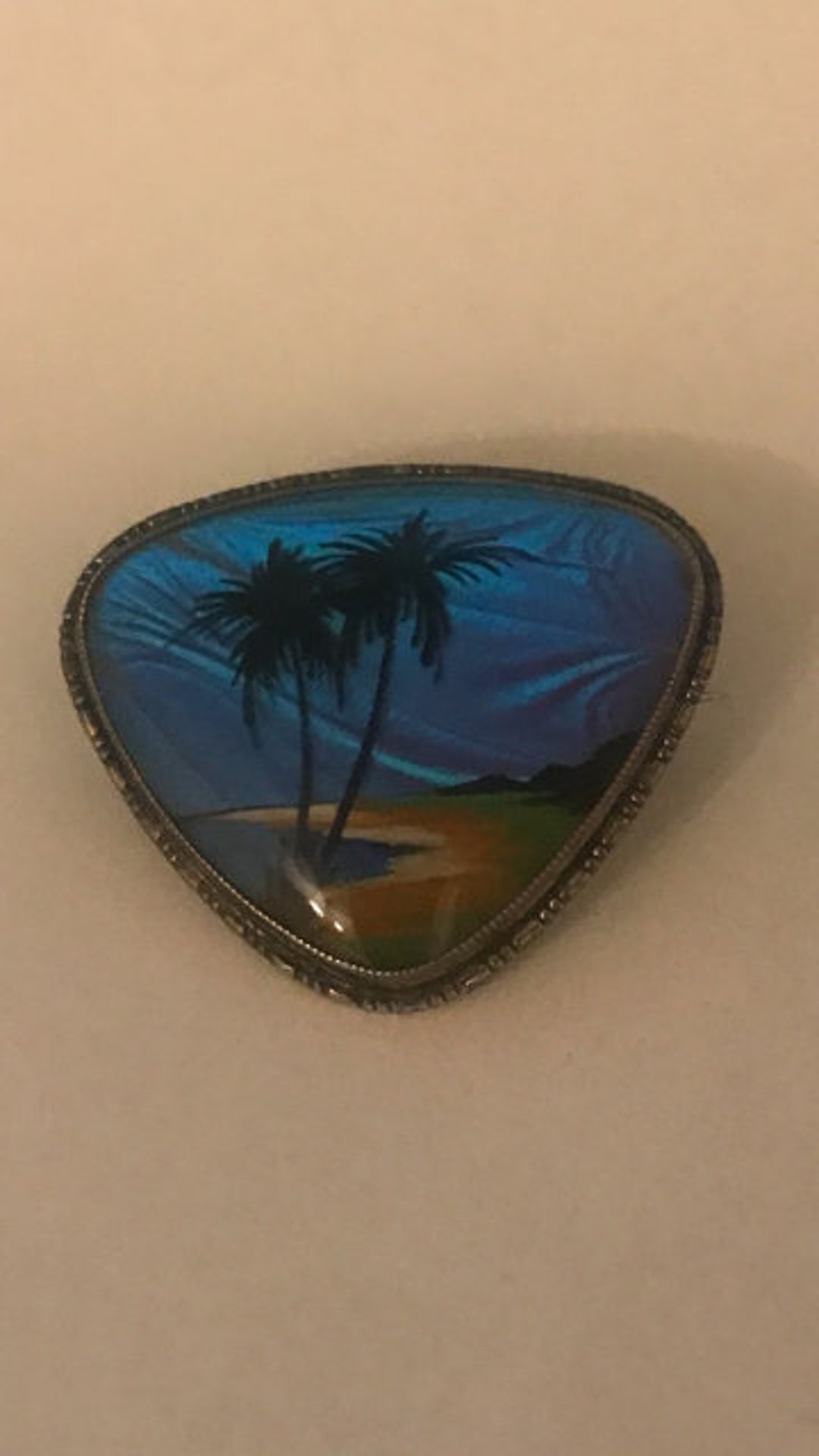 1930's Thomas L. Mott Sterling Silver and Butterfly Wings - Etsy