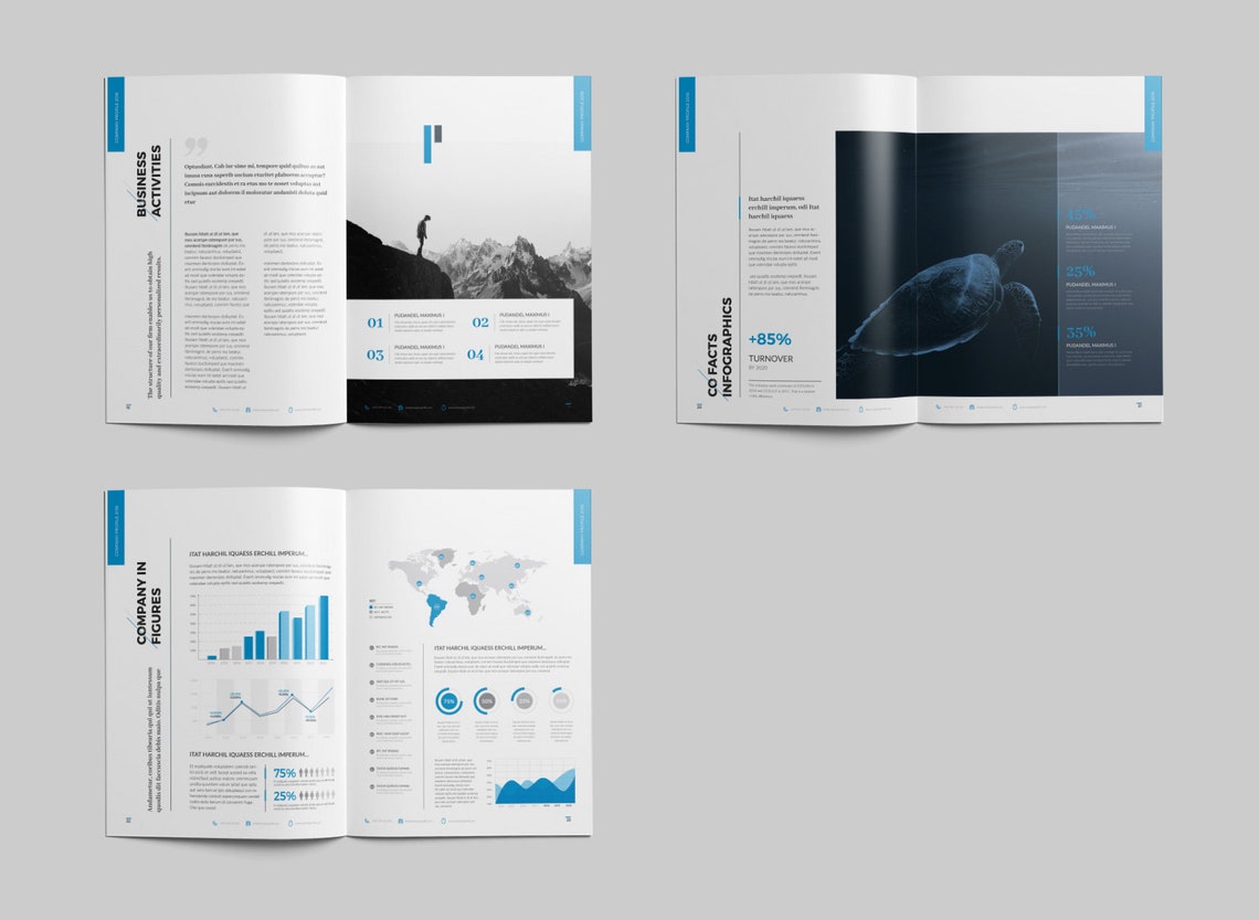 Company Profile Indesign Docx Template Business Brochure - Etsy